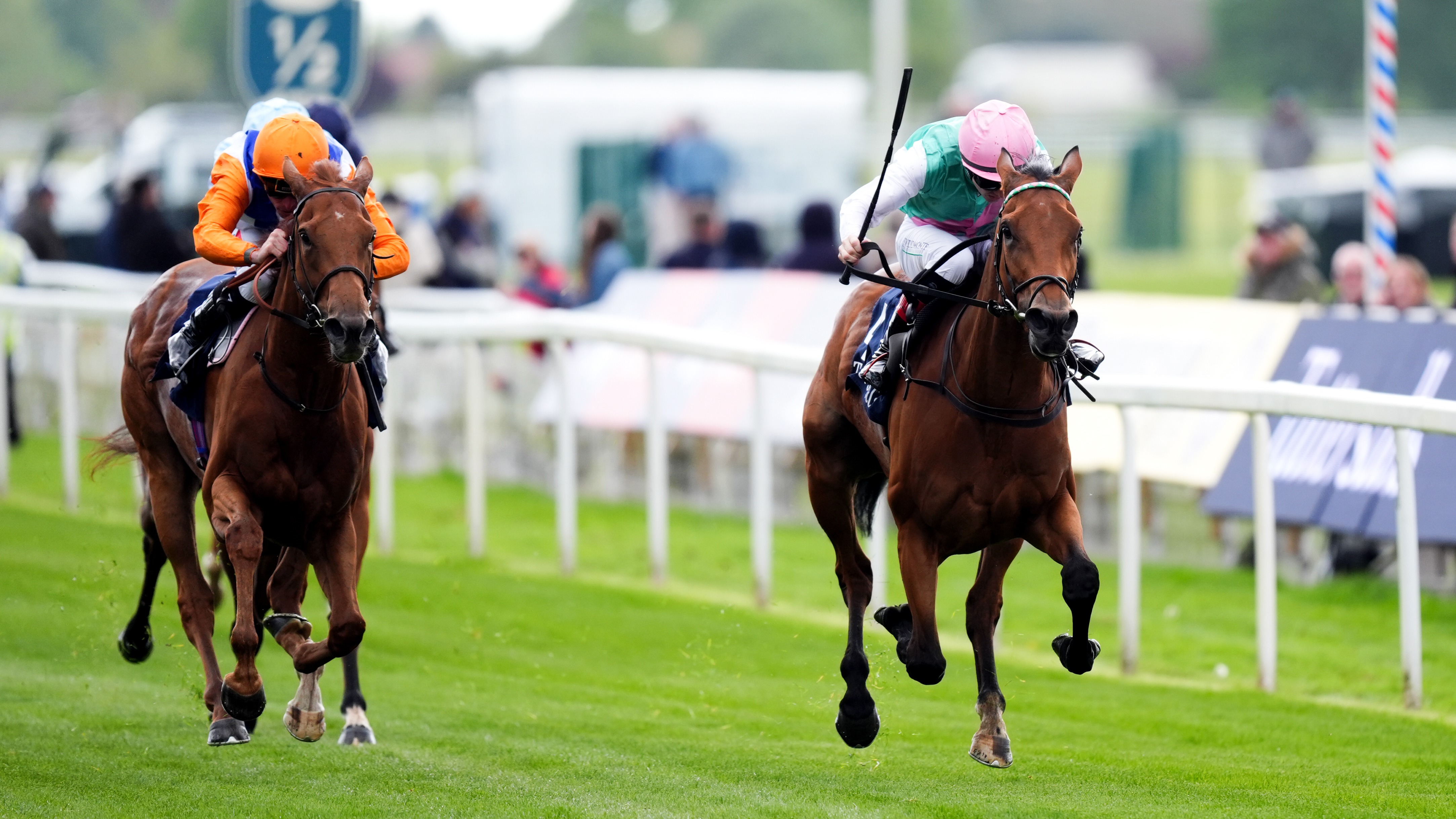 Legacy Link sparkles in Musidora strike | Racing