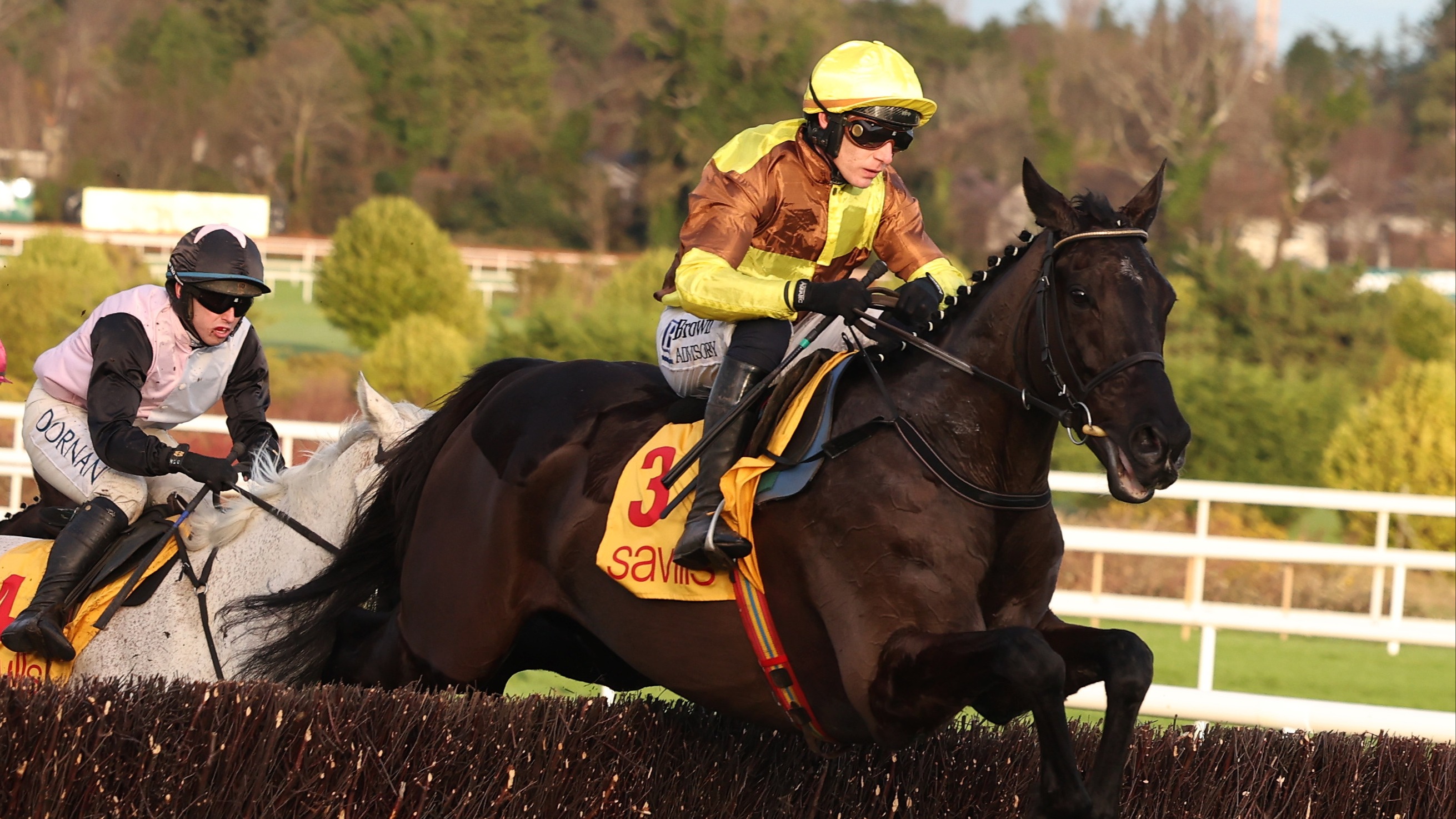 Galopin Des Champs rules supreme once more at Leopardstown | Racing