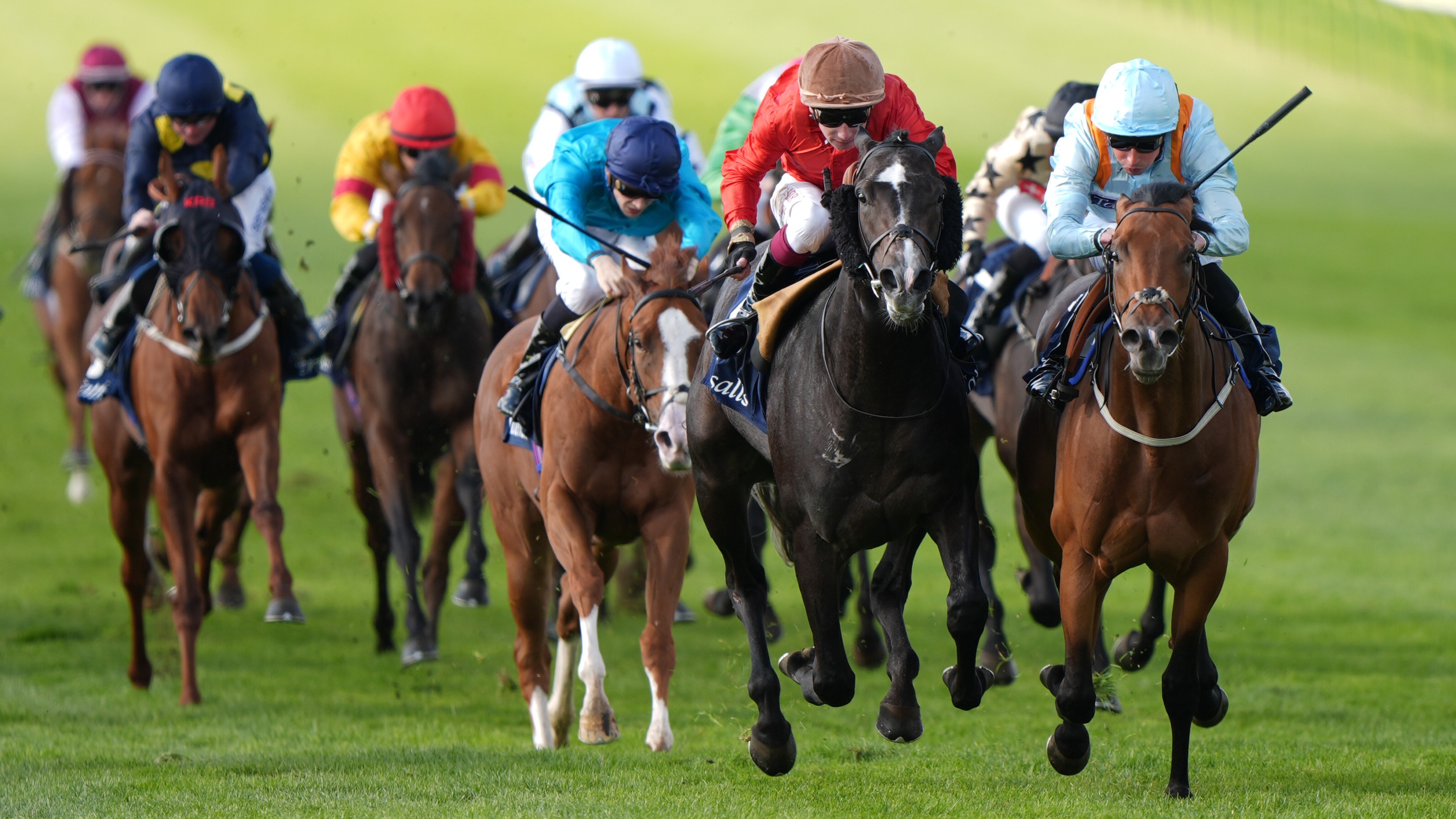 Regal performance from The Dragon King at Newmarket | Racing