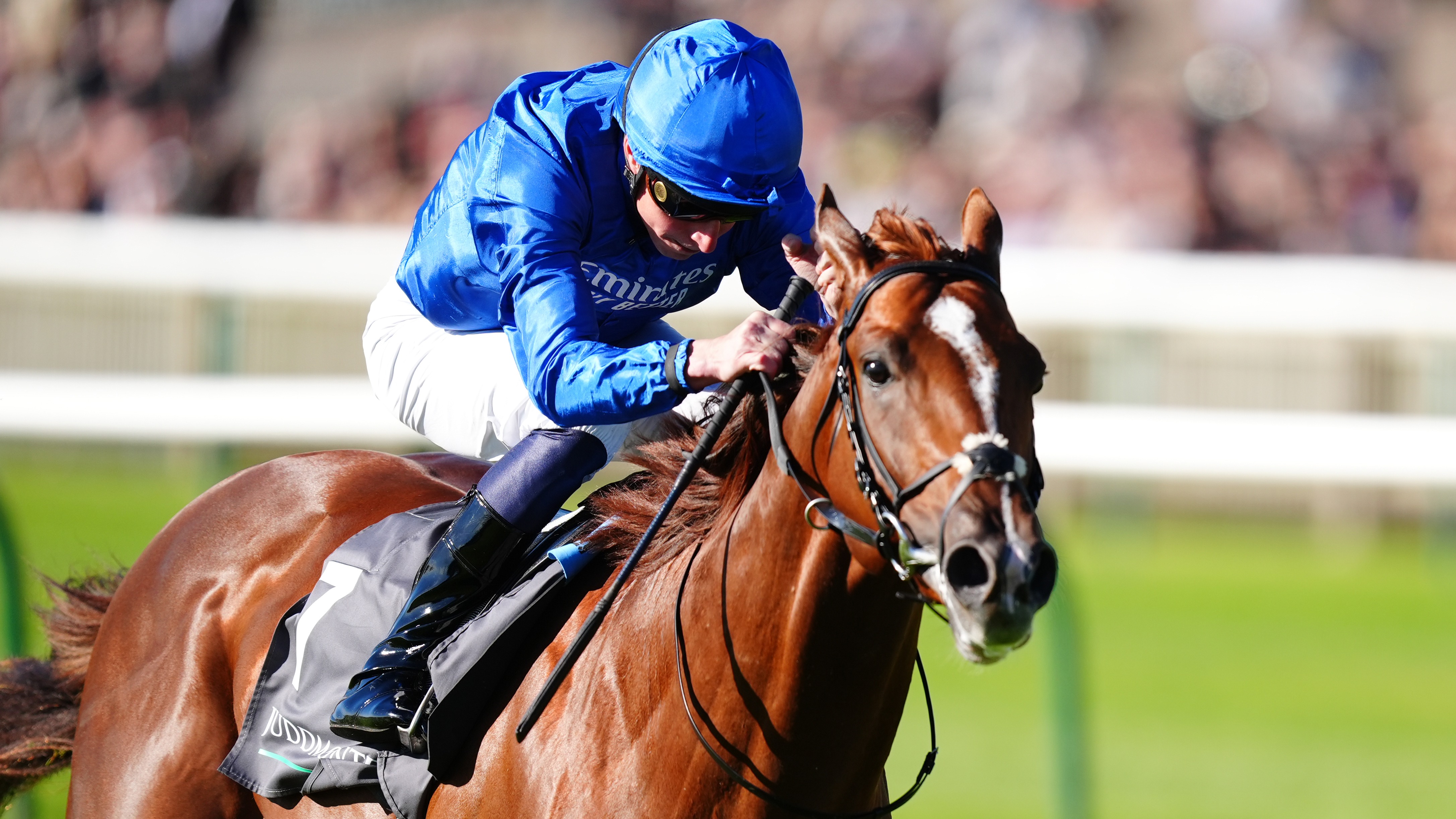 Shadow Of Light sparkles in easy Middle Park triumph | Racing