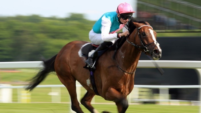 First Eleven wins the Sky Bet Race To The Ebor Jorvik Handicap | Racing