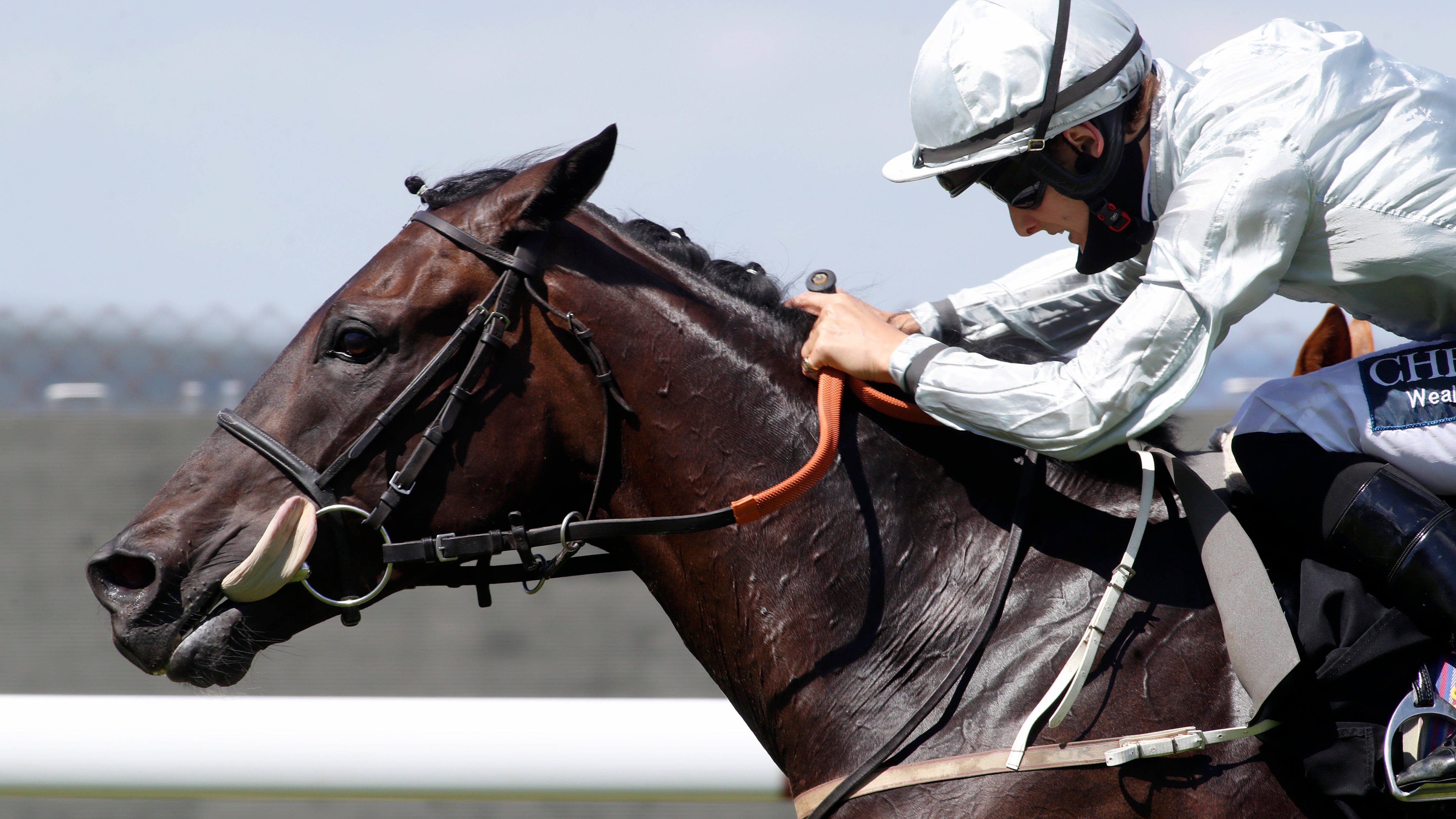 Hochfeld wins Mark Johnston a record seventh Unibet Summer Handicap ...
