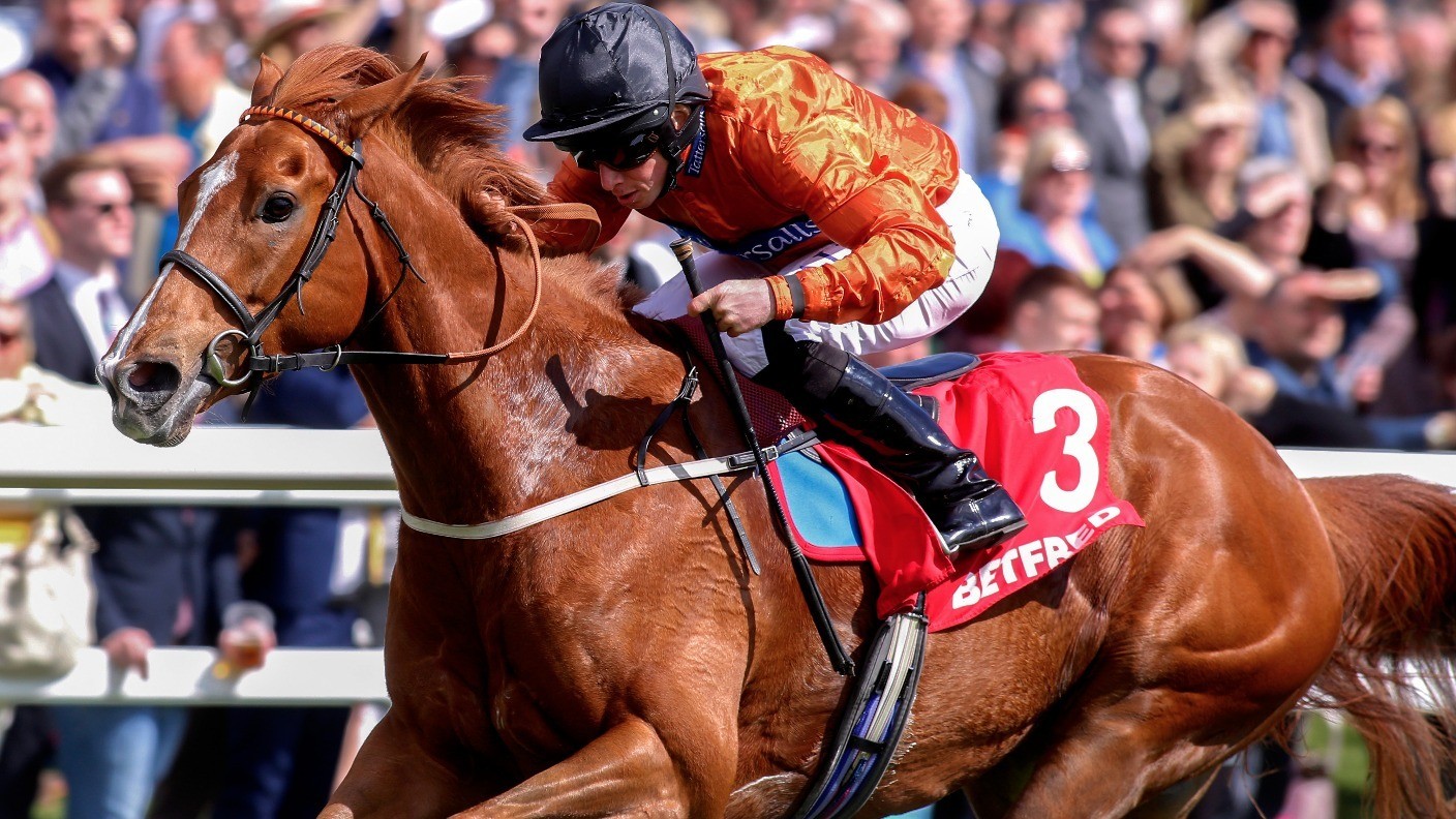 Ryan Moore gets the tactics right as Mix And Mingle beats Qemah | Racing