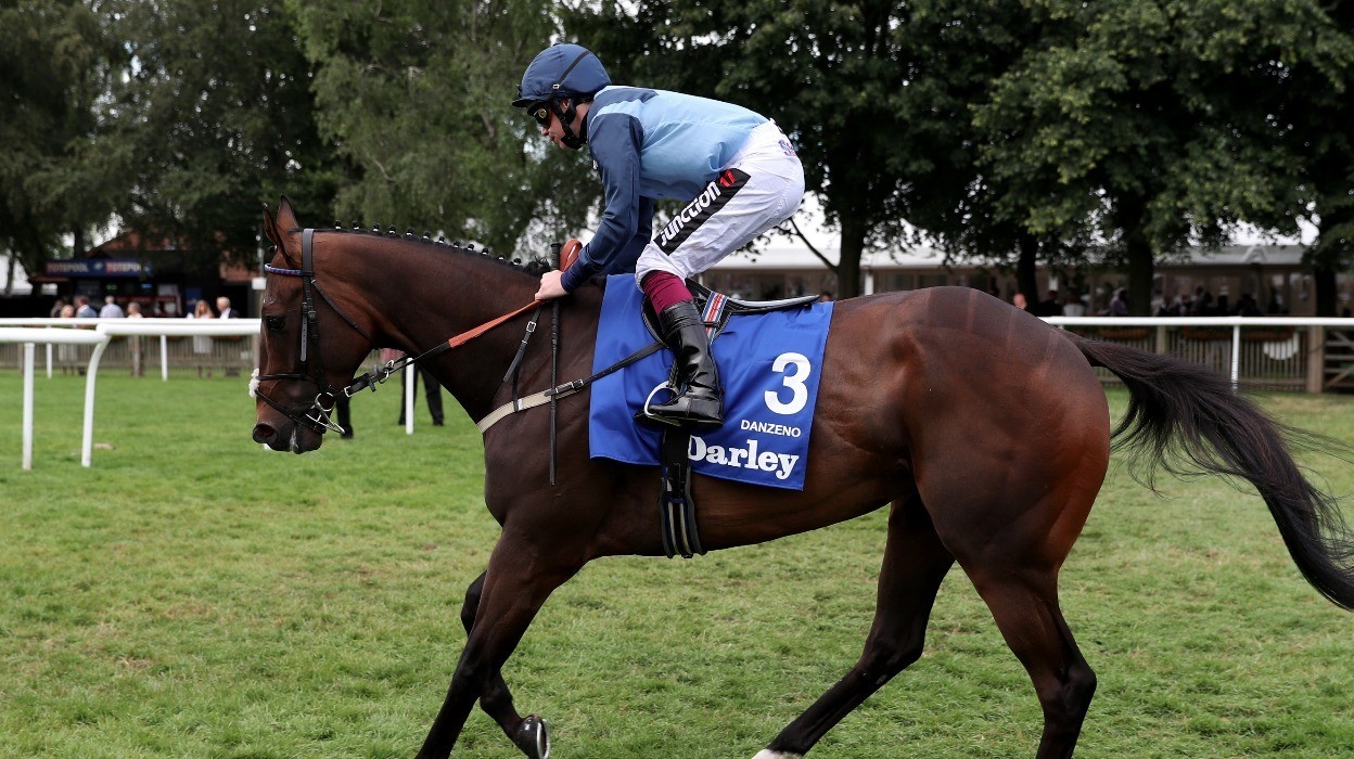 Mick Appleby looking forward to Stewards' cup bid with Danzeno | Racing