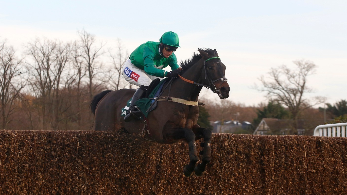 Sceau Royal ruled out of Arkle date by Alan King following a setback ...