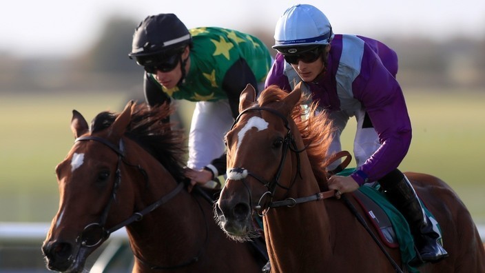 Rock Eagle too tough to crack in Old Rowley Cup | Racing