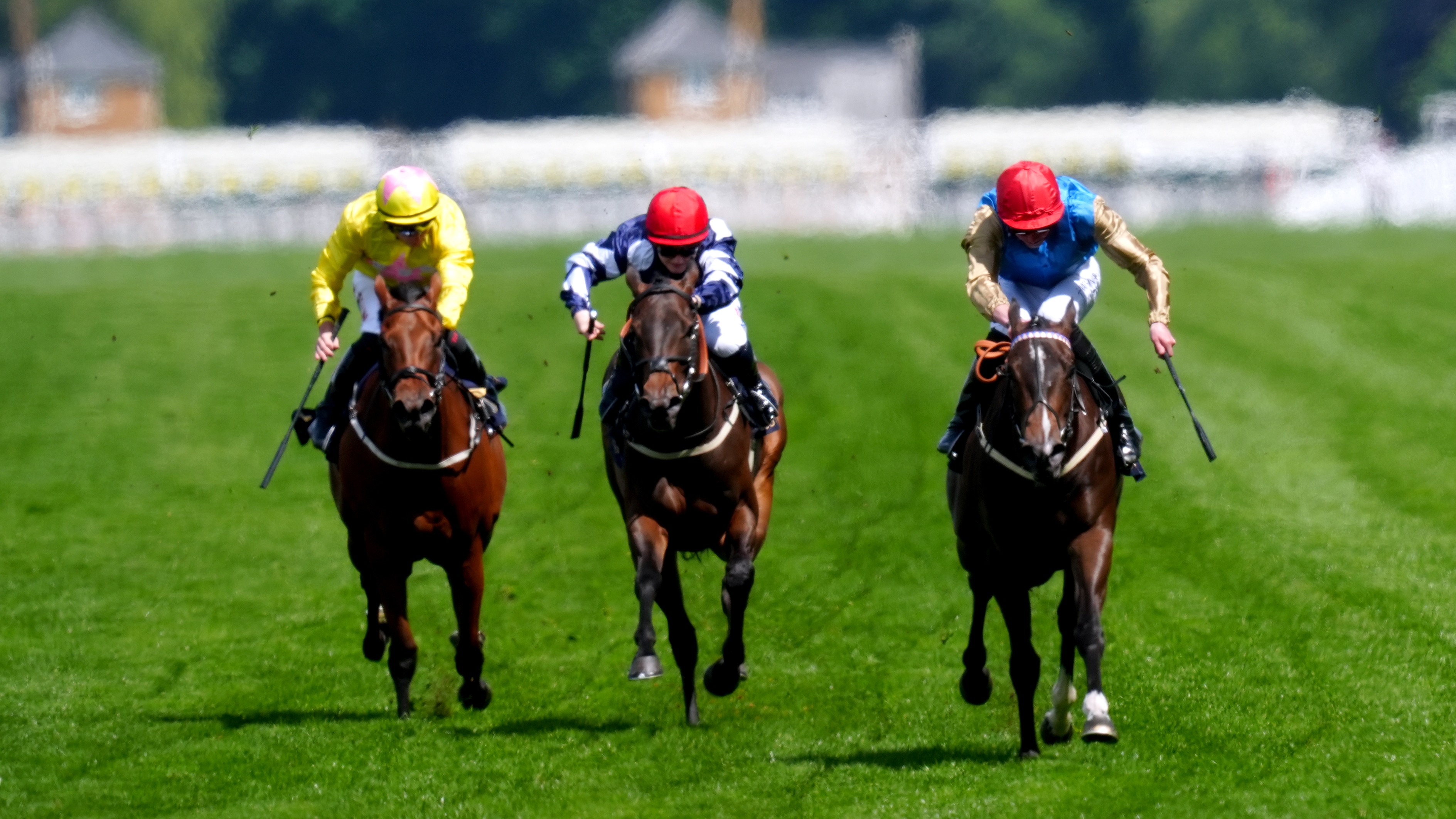 Leovanni produces sizzling display to take Queen Mary | Racing