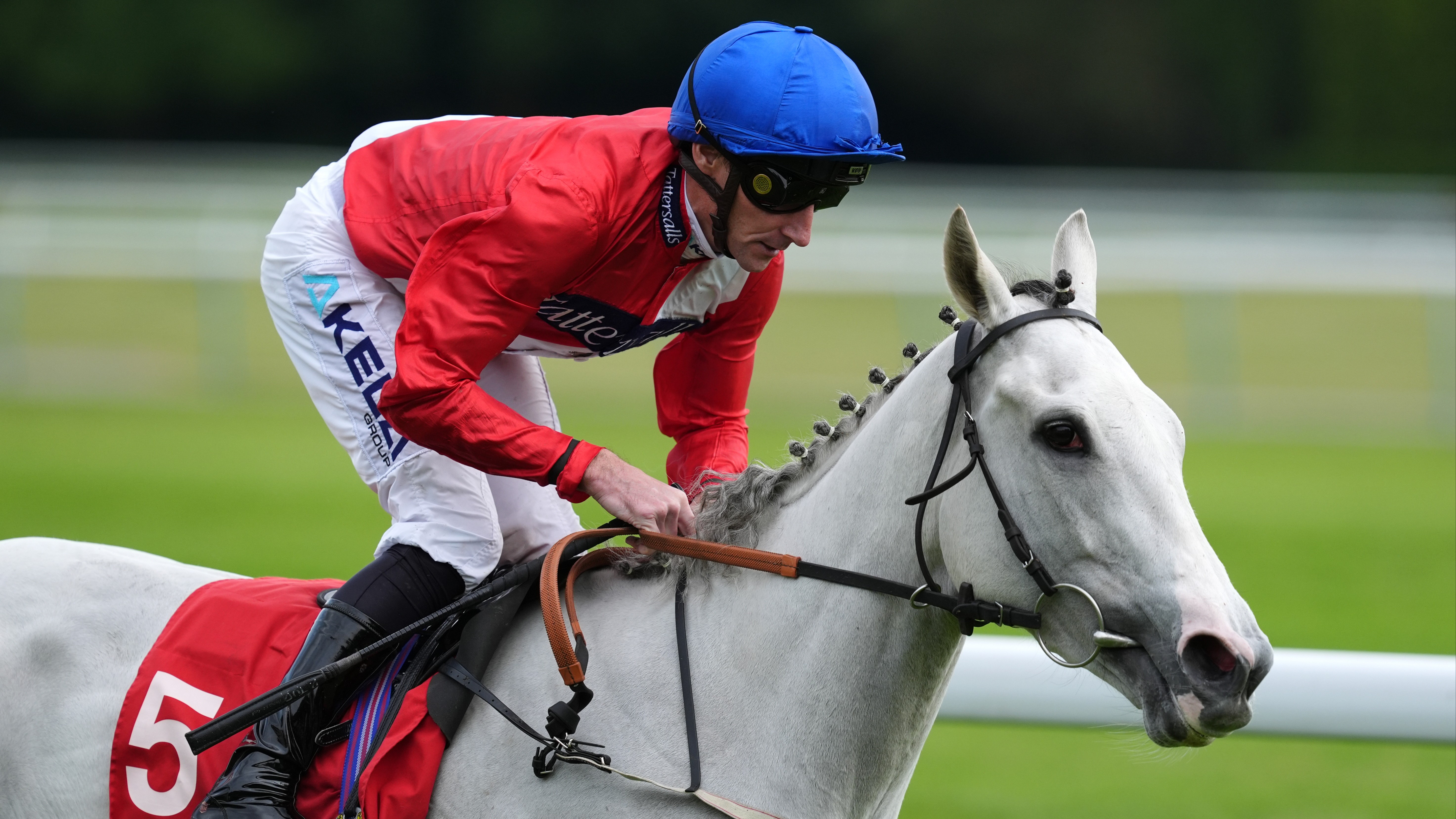 Wide draw a ‘downer’ for Estrange’s Arc hopes | Racing