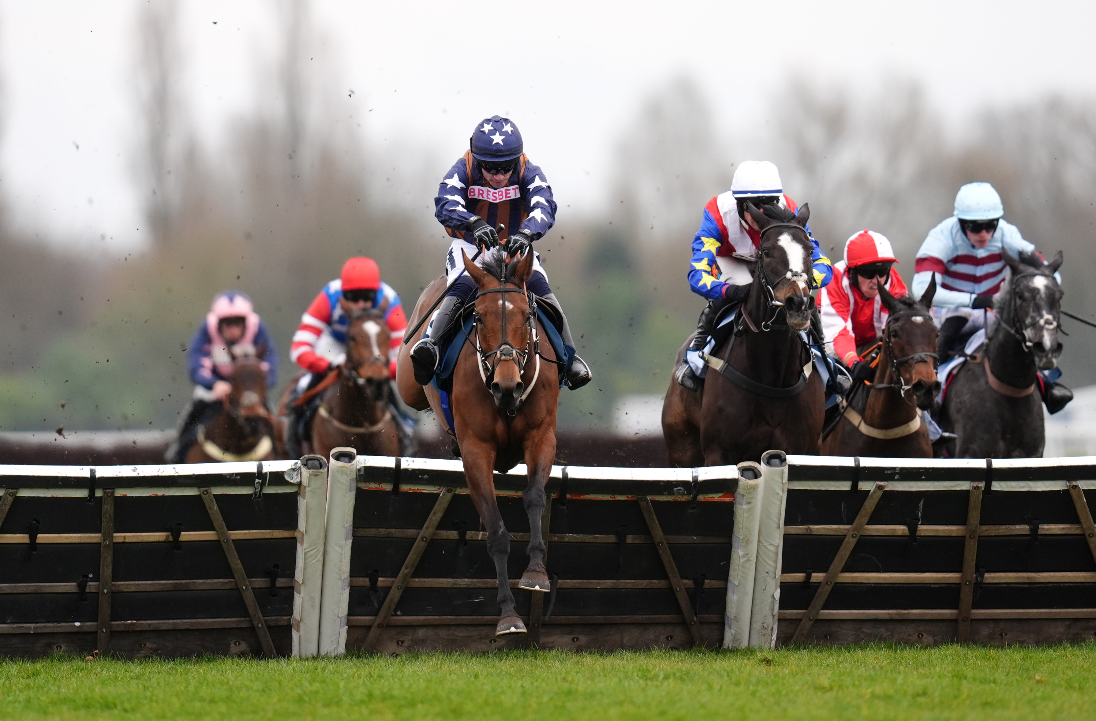 Siog Geal takes notable mares’ novice prize at Newbury | Racing