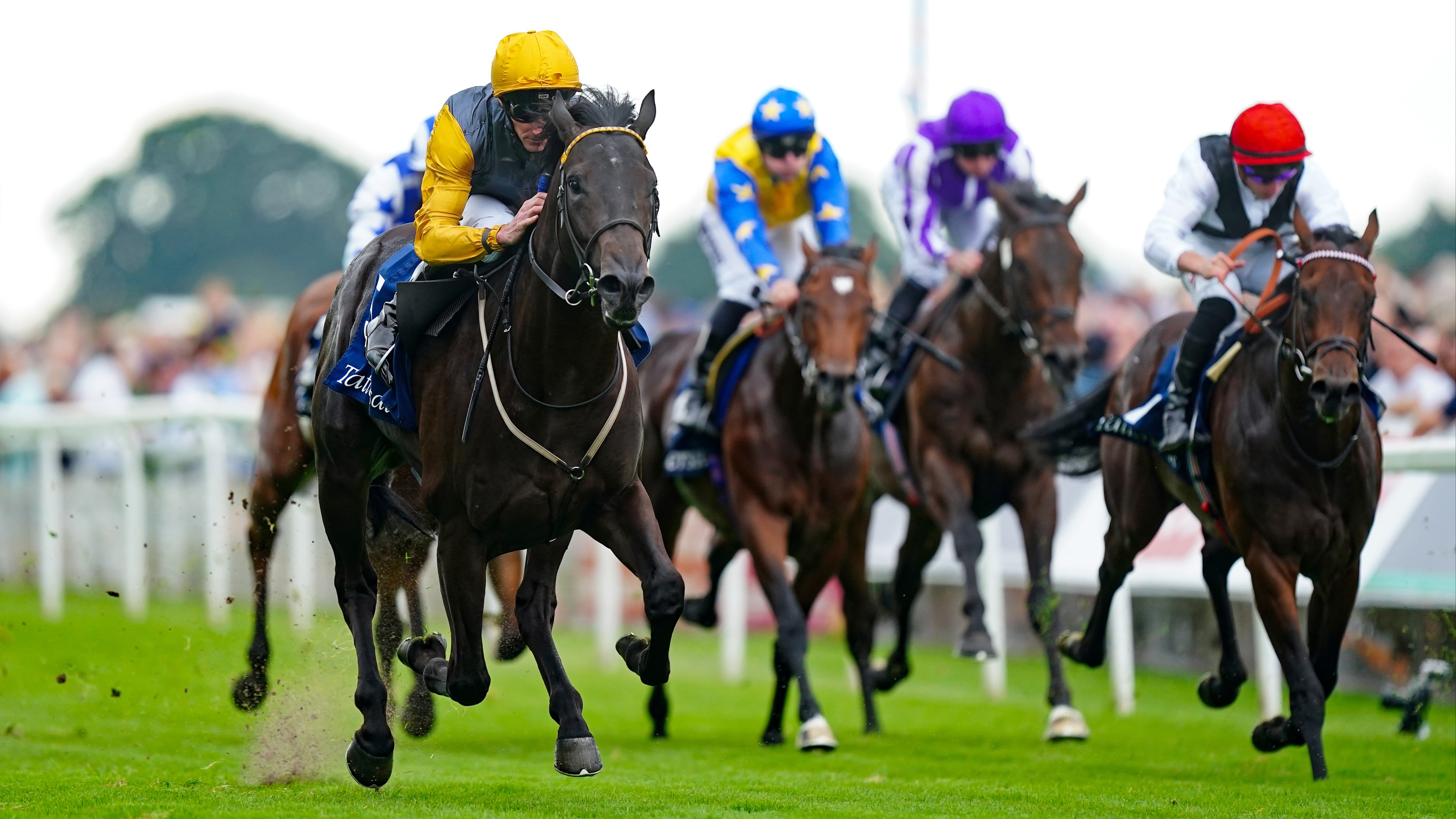 Indian Run too good for Acomb rivals | Racing