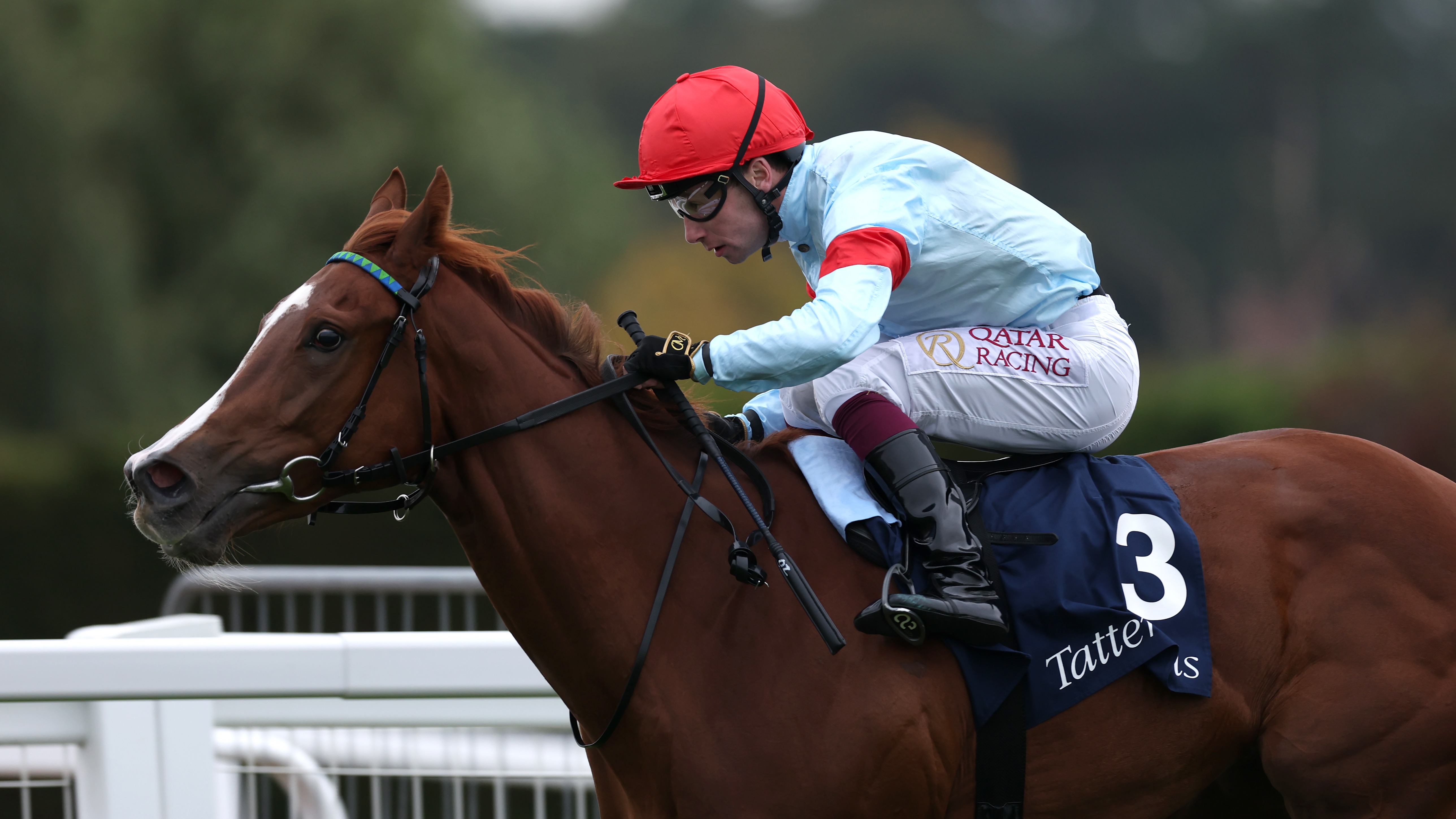 Sangster has Flight ready for May Hill take-off | Racing