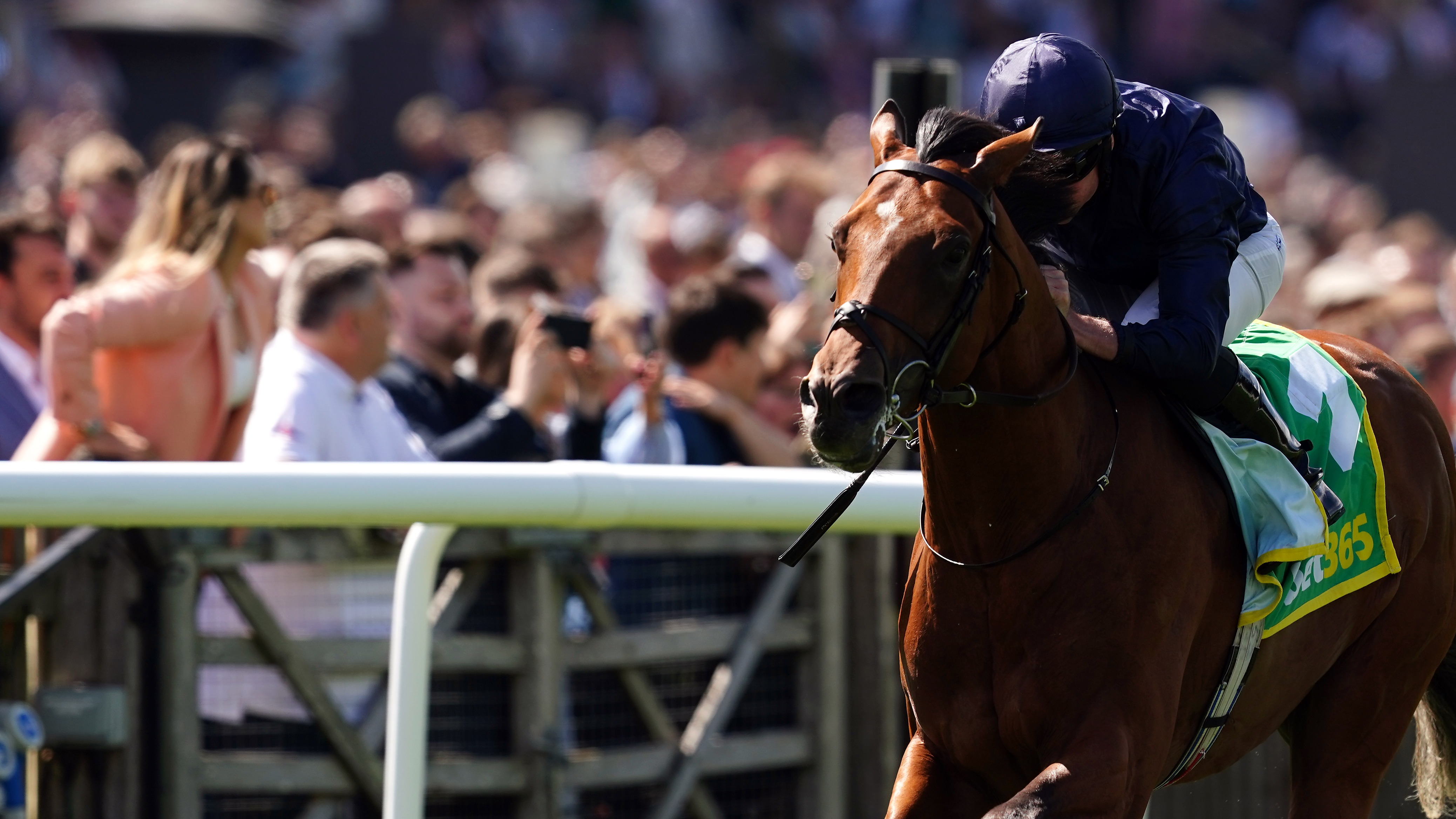 City Of Troy simply sensational in Superlative Stakes | Racing