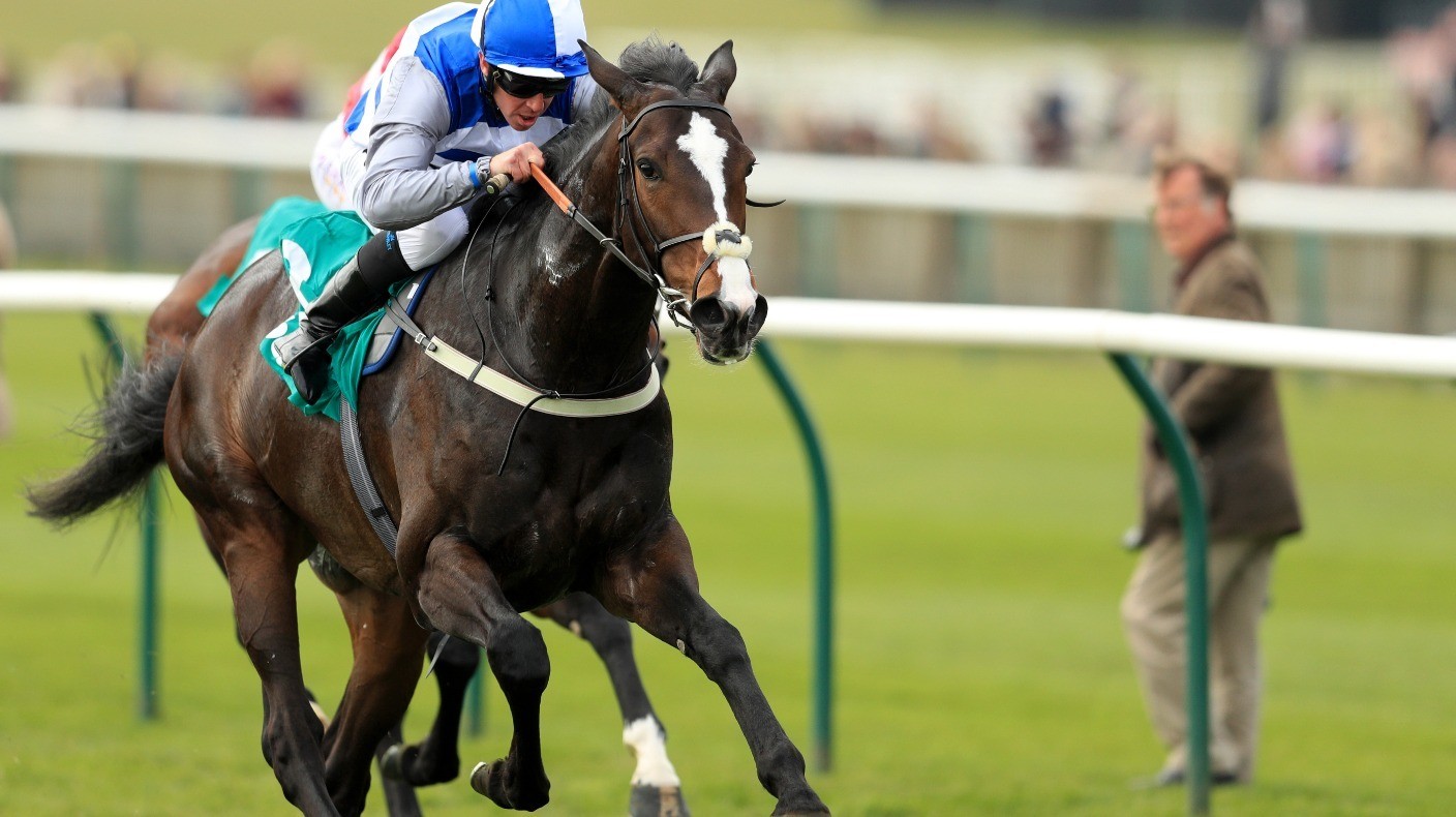 Martyn Meade looking forward to long-term target of Royal Ascot with ...