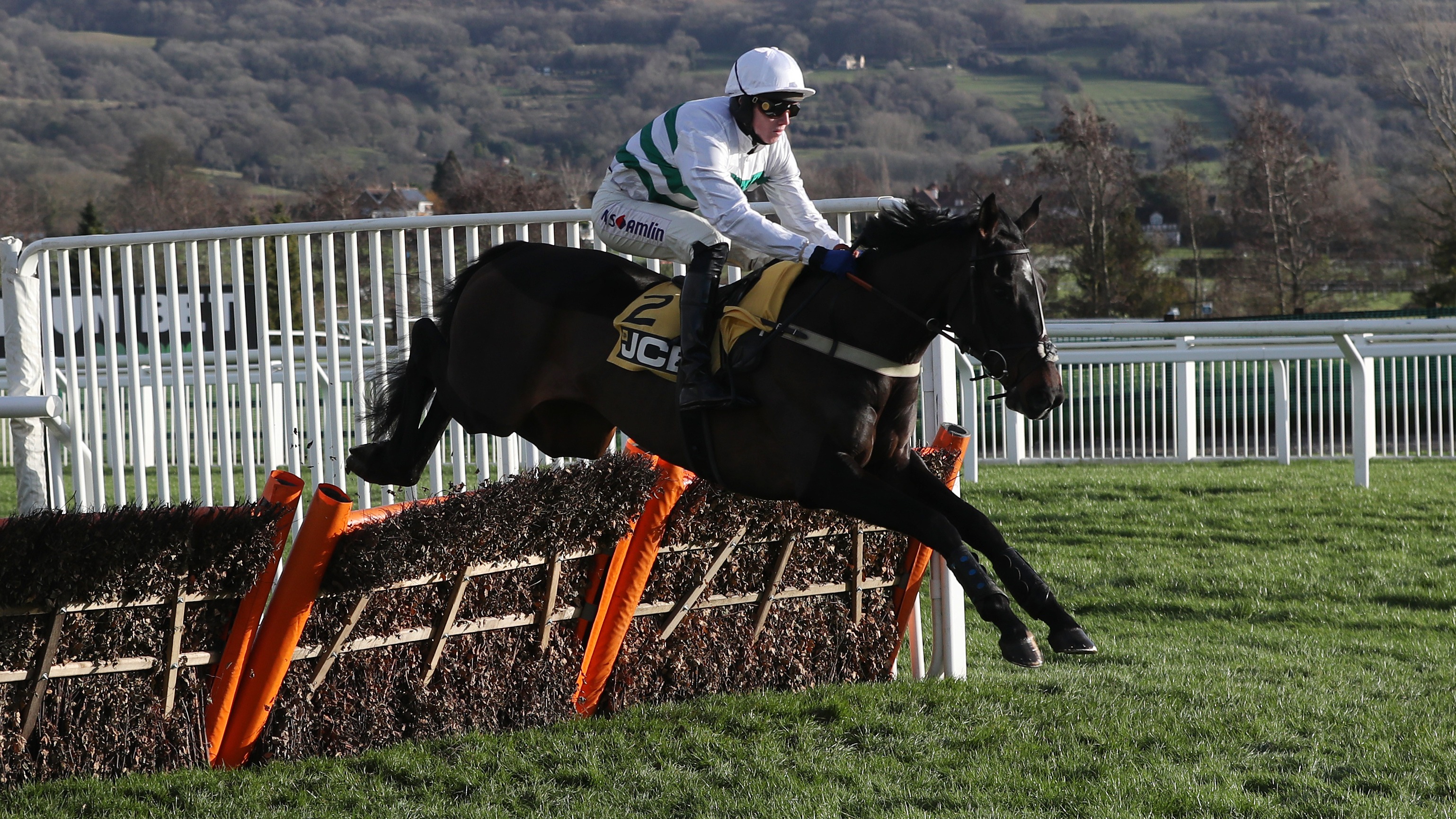 Botox Has pulls clear to claim the Masterson Holdings Hurdle | Racing