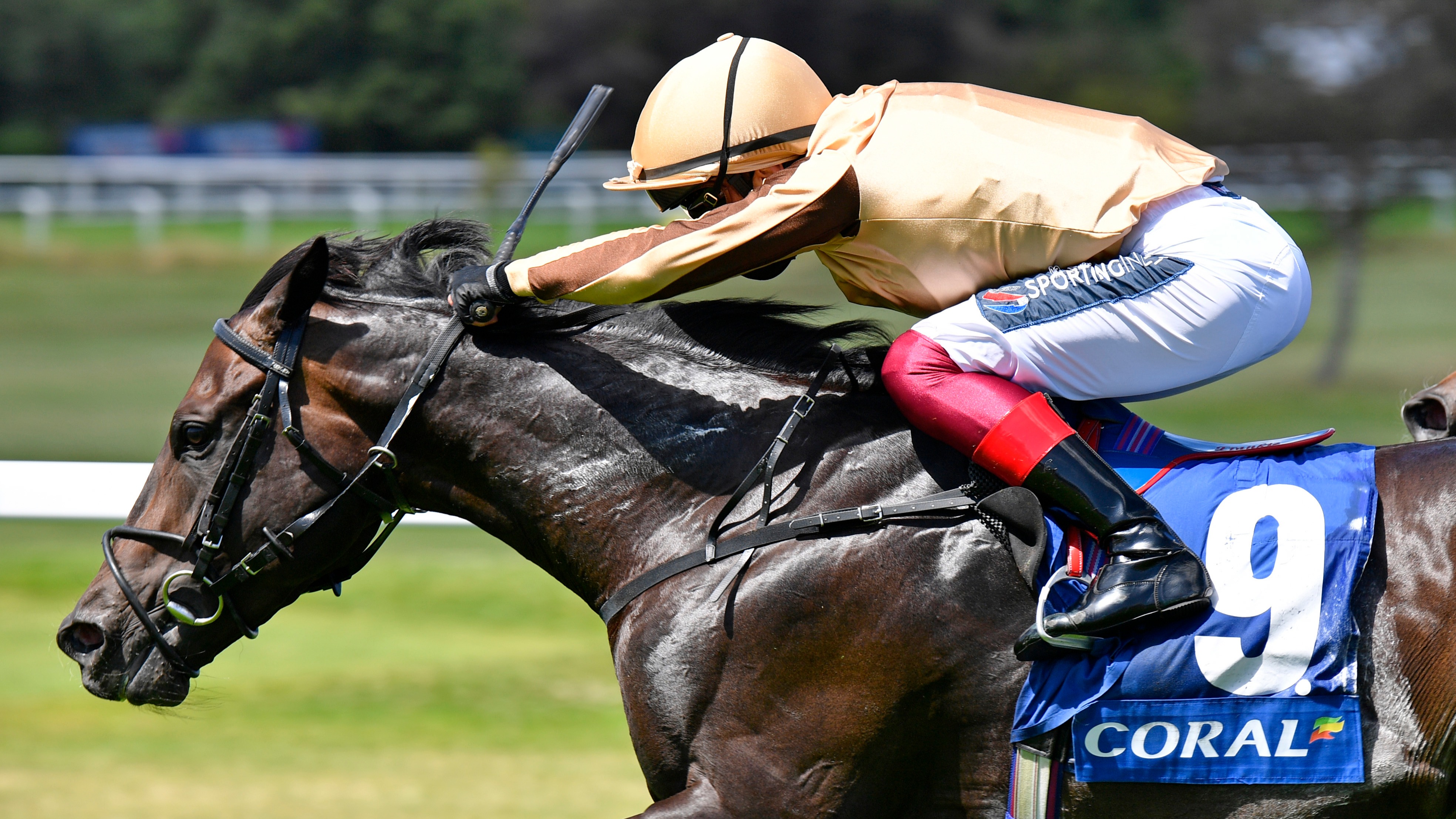 Impressive A'Ali claims the Coral Charge at Sandown | Racing