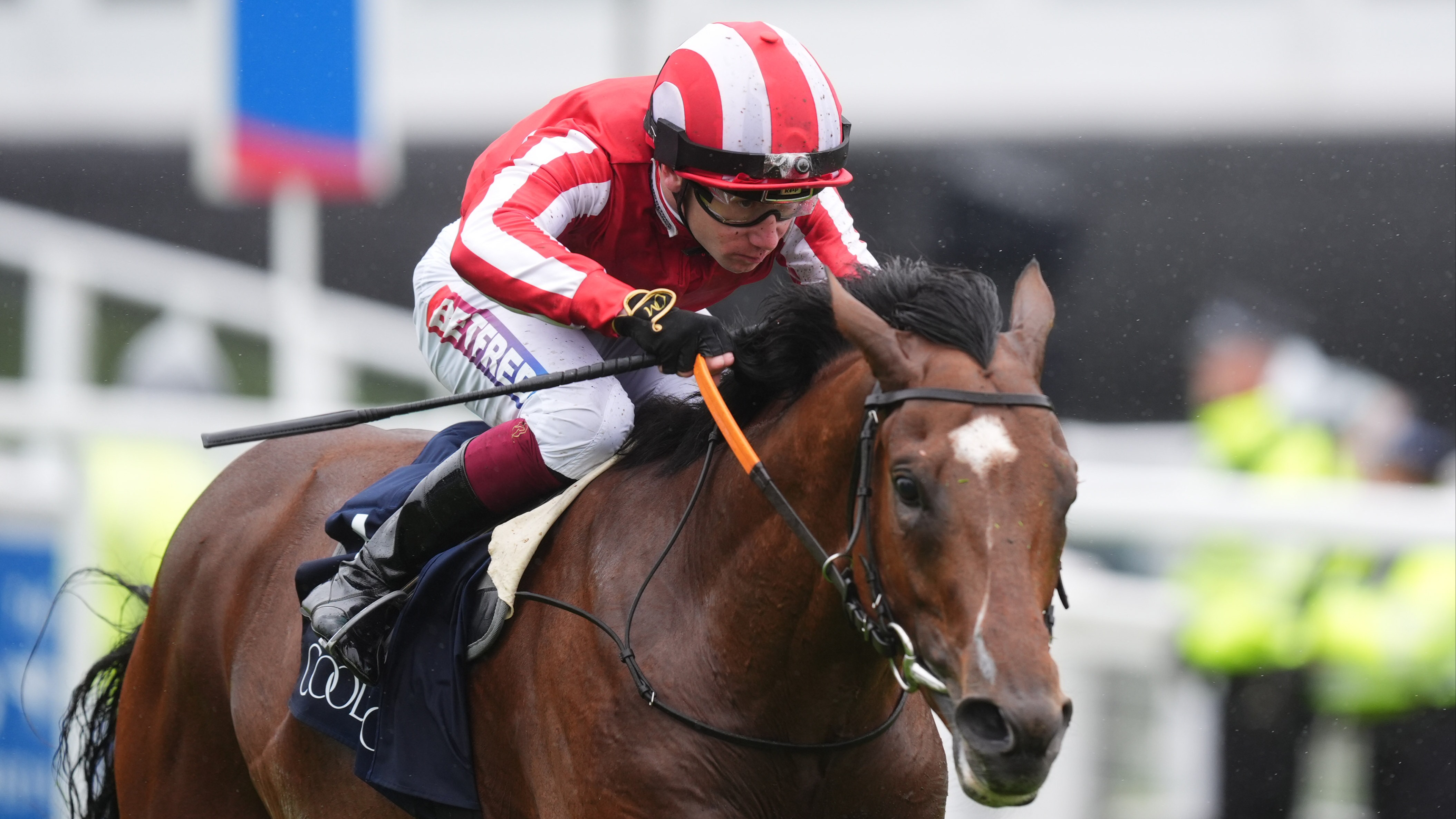 Bay City Roller rocks big names in Coronation Cup | Racing