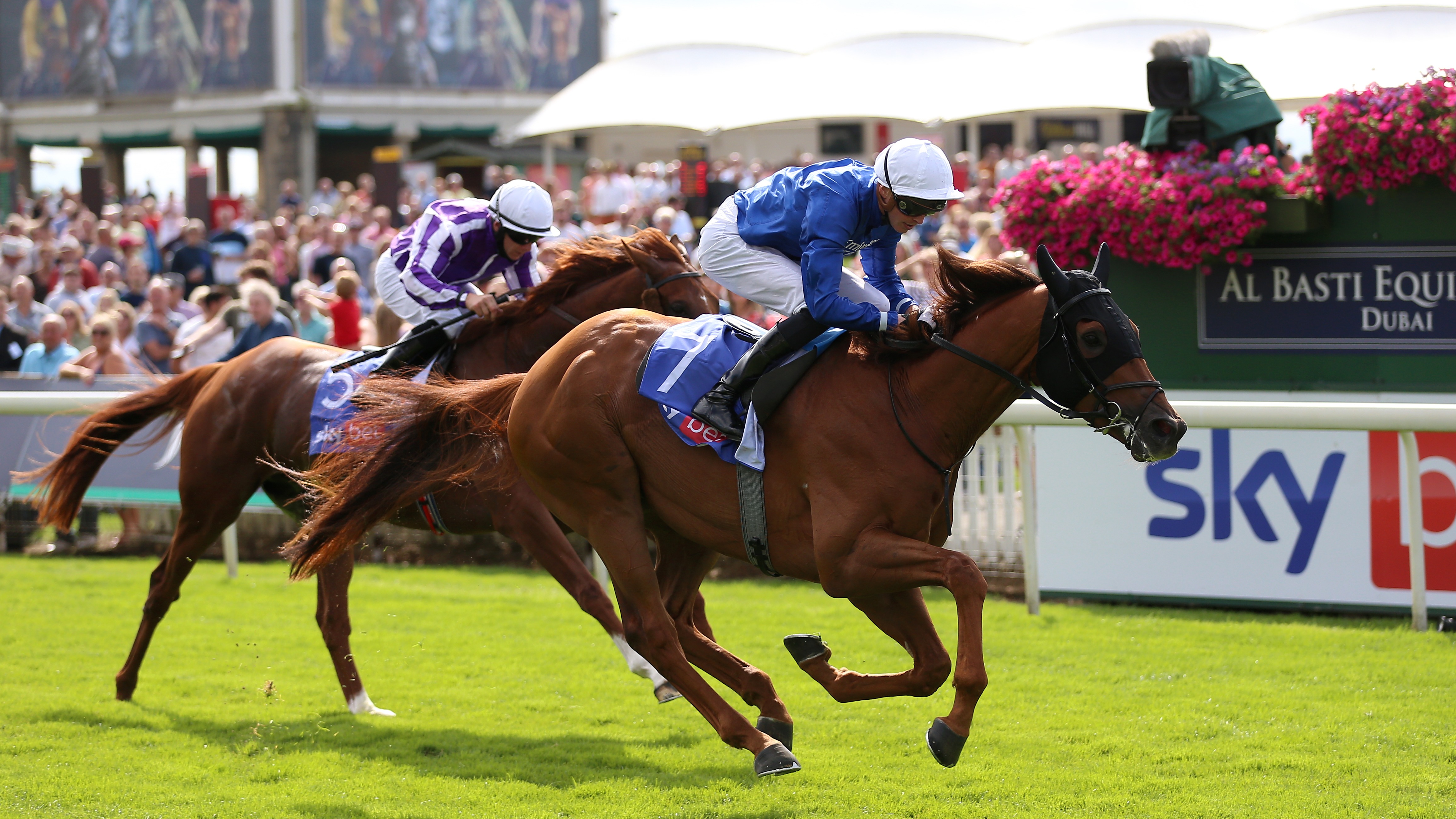 Yibir bounces back with Sky Bet Great Voltigeur Stakes victory | Racing