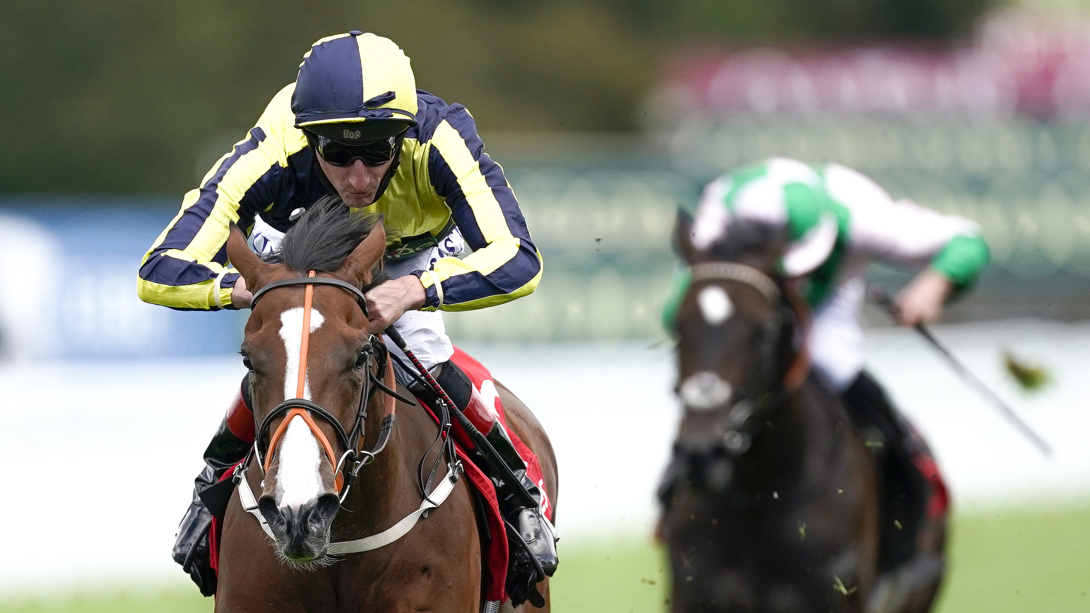 Isabella Giles delivers a strong performance in the Shadwell Rockfel ...