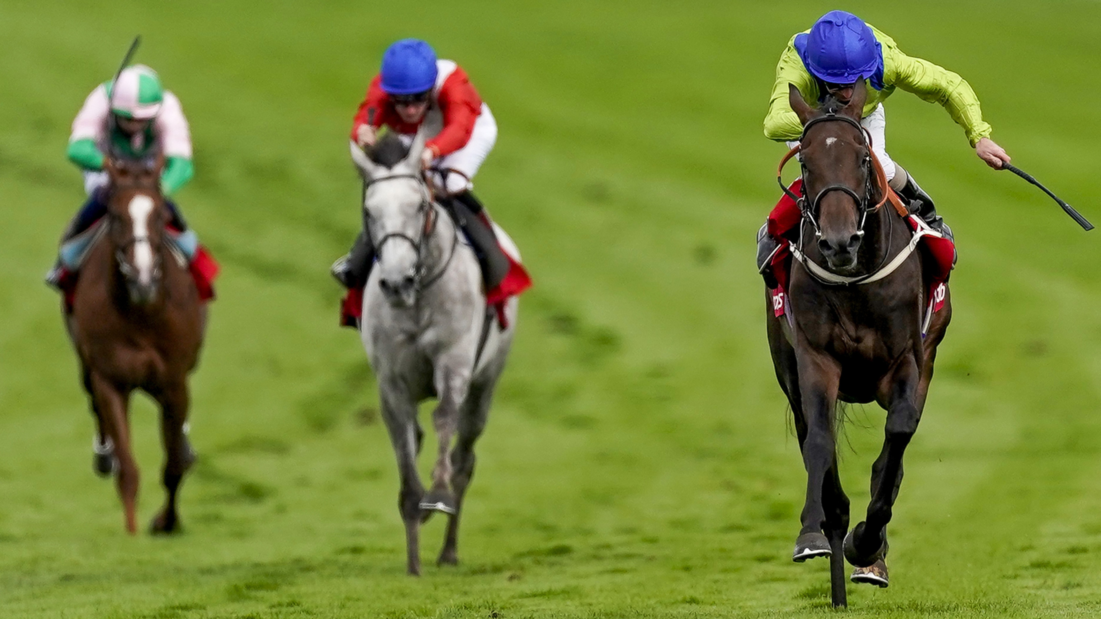 Subjectivist books St Leger ticket with Goodwood stroll | Racing