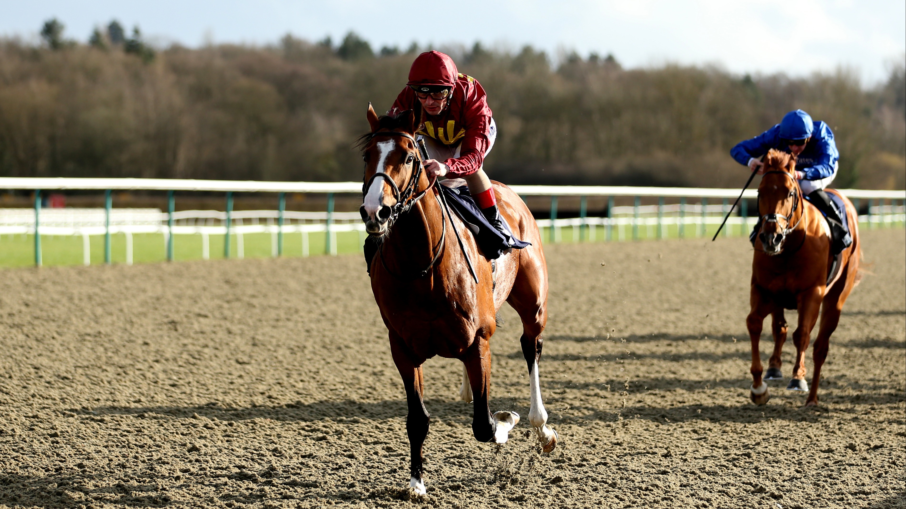 Malotru heads to Newcastle as Marco Botti eyes up Royal Ascot | Racing