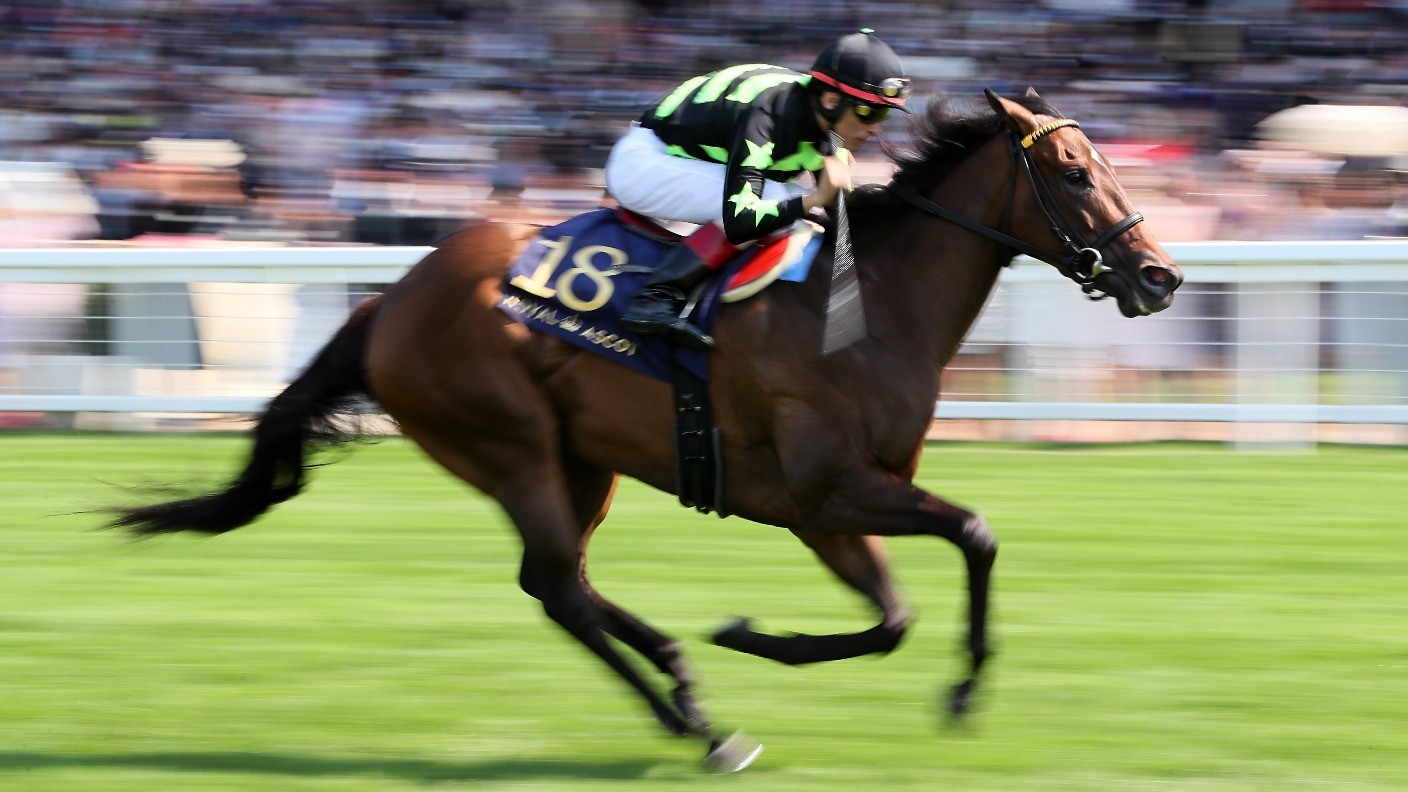 Upbeat Wesley Ward back on the hunt for more glory at Royal Ascot | Racing