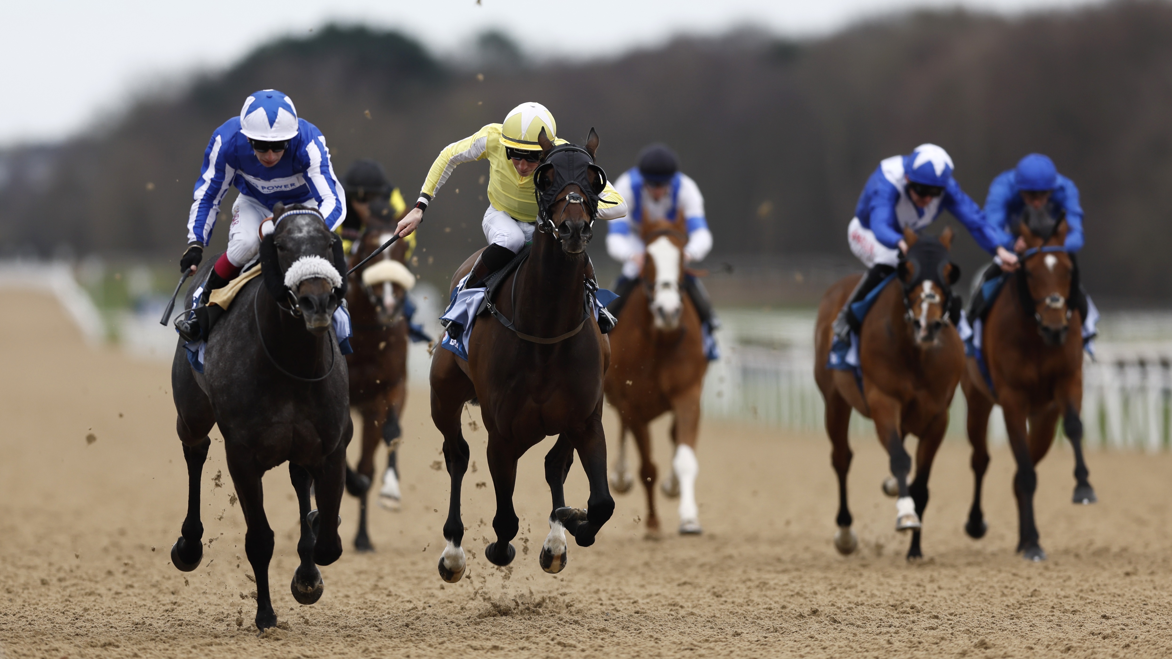 Notre Belle Bete claims Classic honours | Racing