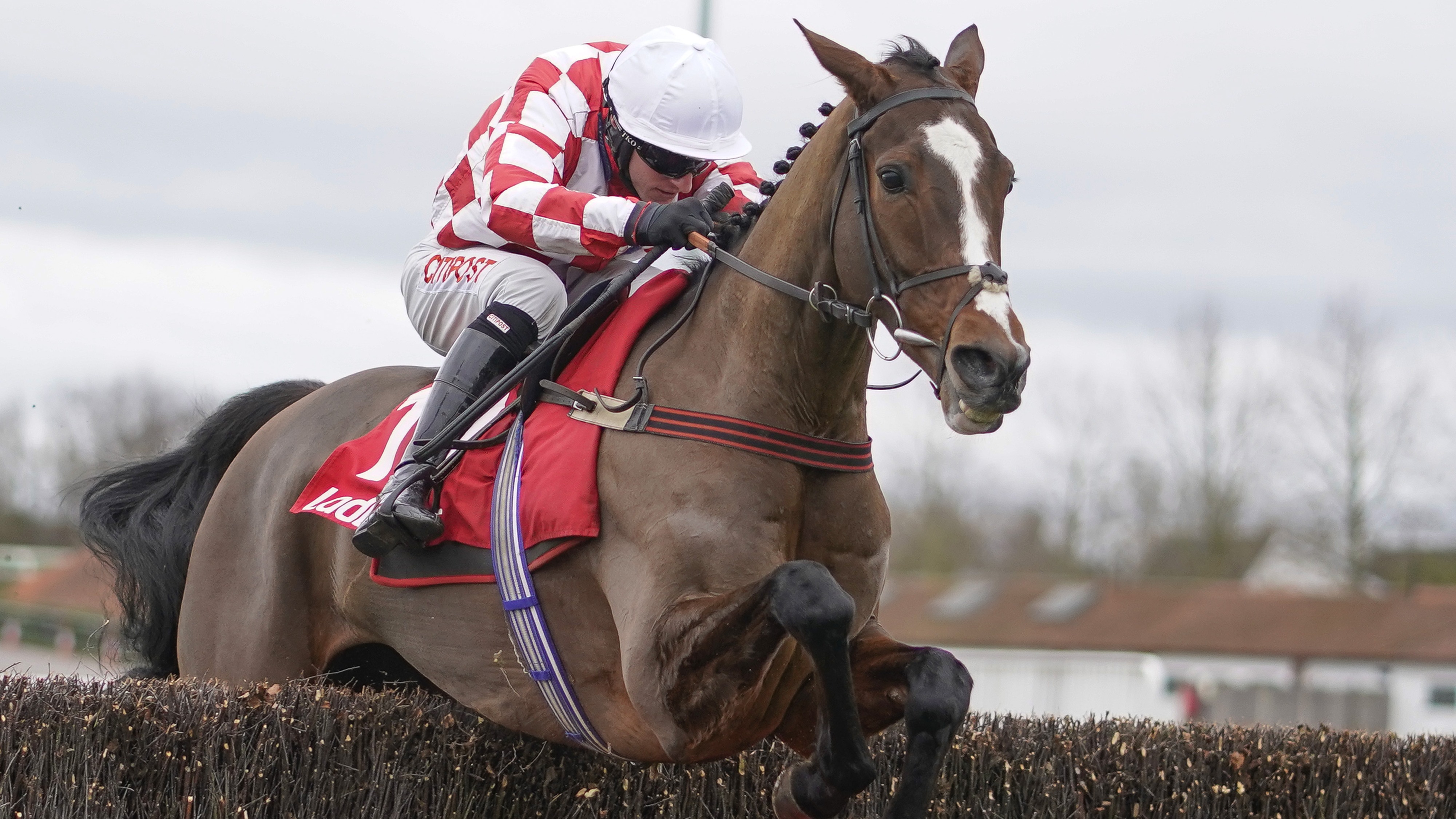 Killer Clown wins the Art Of Outdoor With Ocean Handicap Chase | Racing