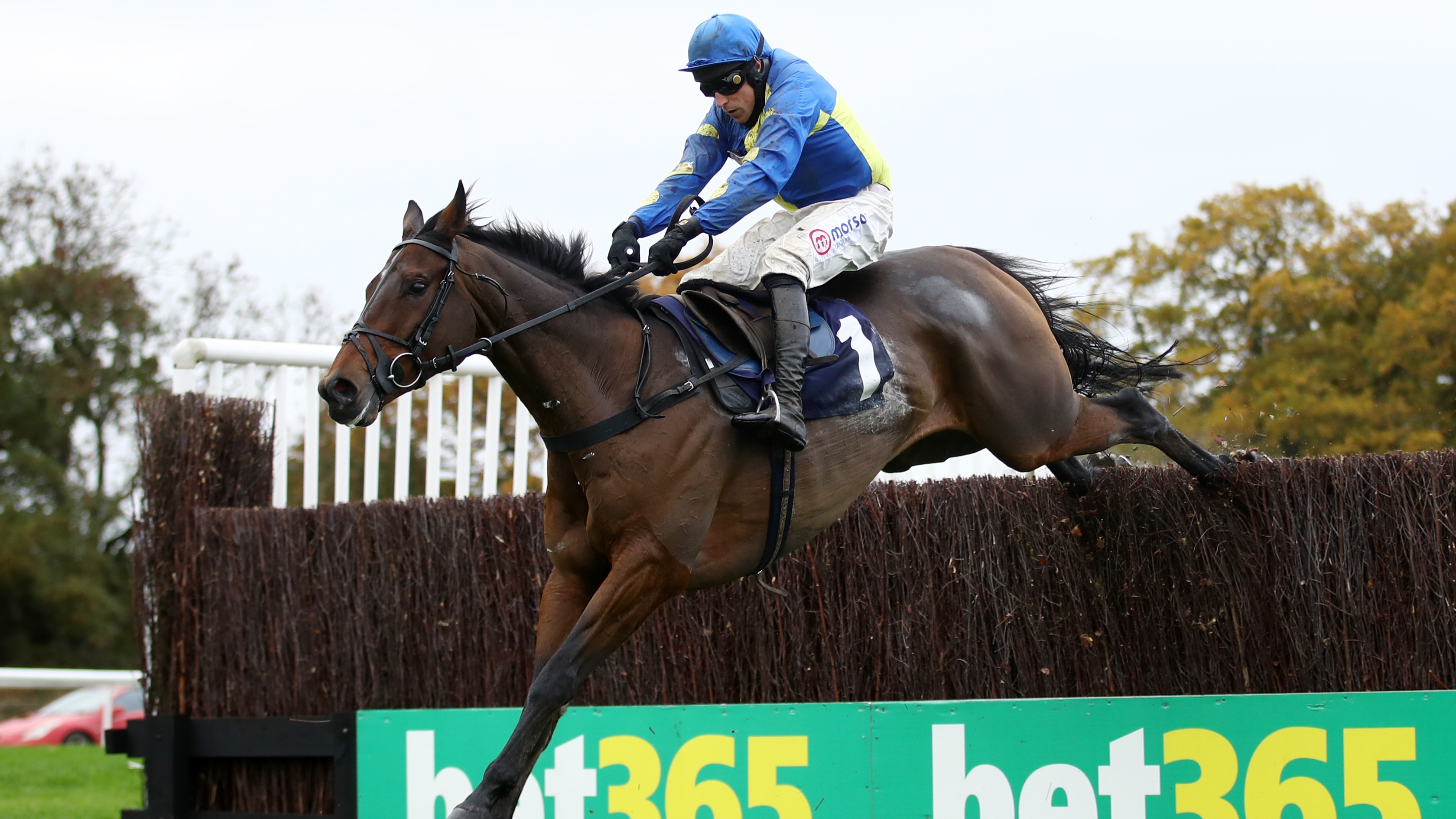 Shan Blue takes Kauto Star honours | Racing