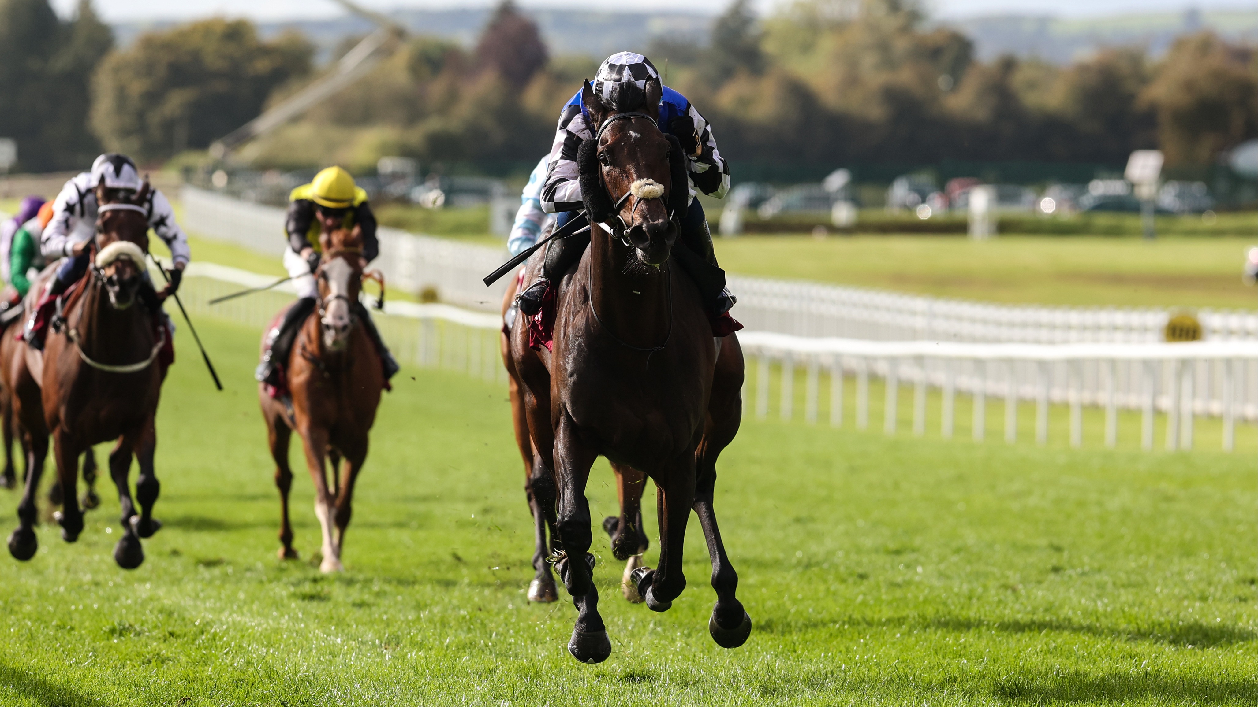 Al Riffa stamps class on Irish St Leger at the Curragh | Racing