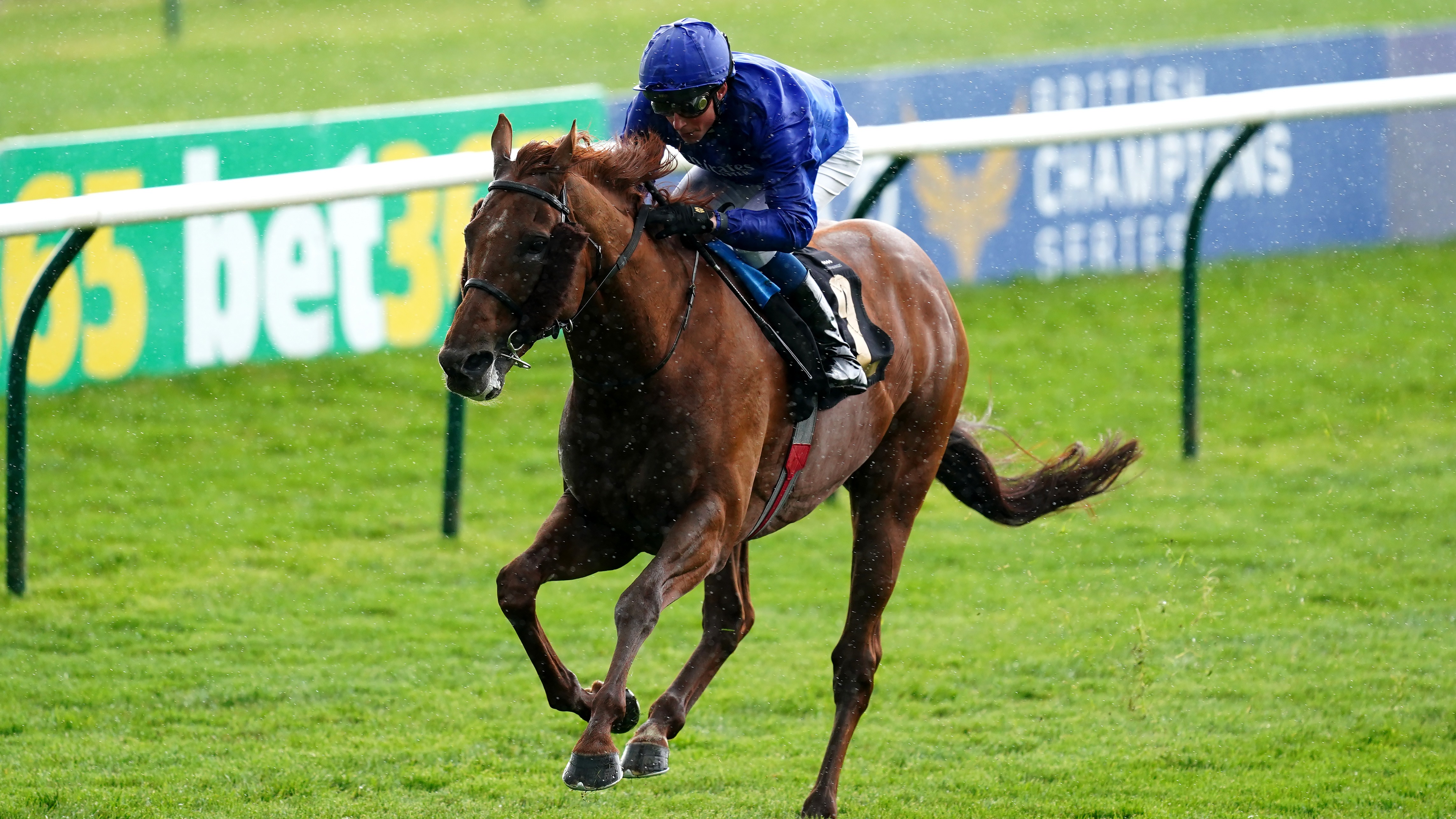 Hurricane Lane storms back to winning ways | Racing