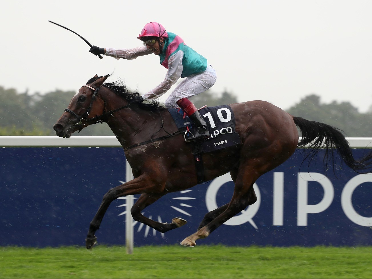 Enable remains on course for fourth top-level success of the season in ...