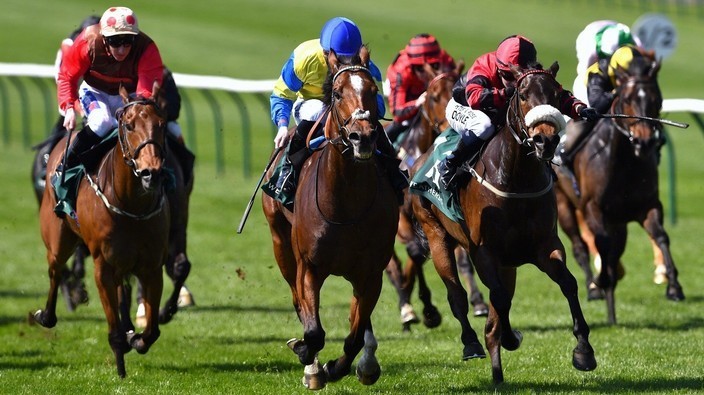 Aeolus powers to Weatherbys General Stud win | Racing