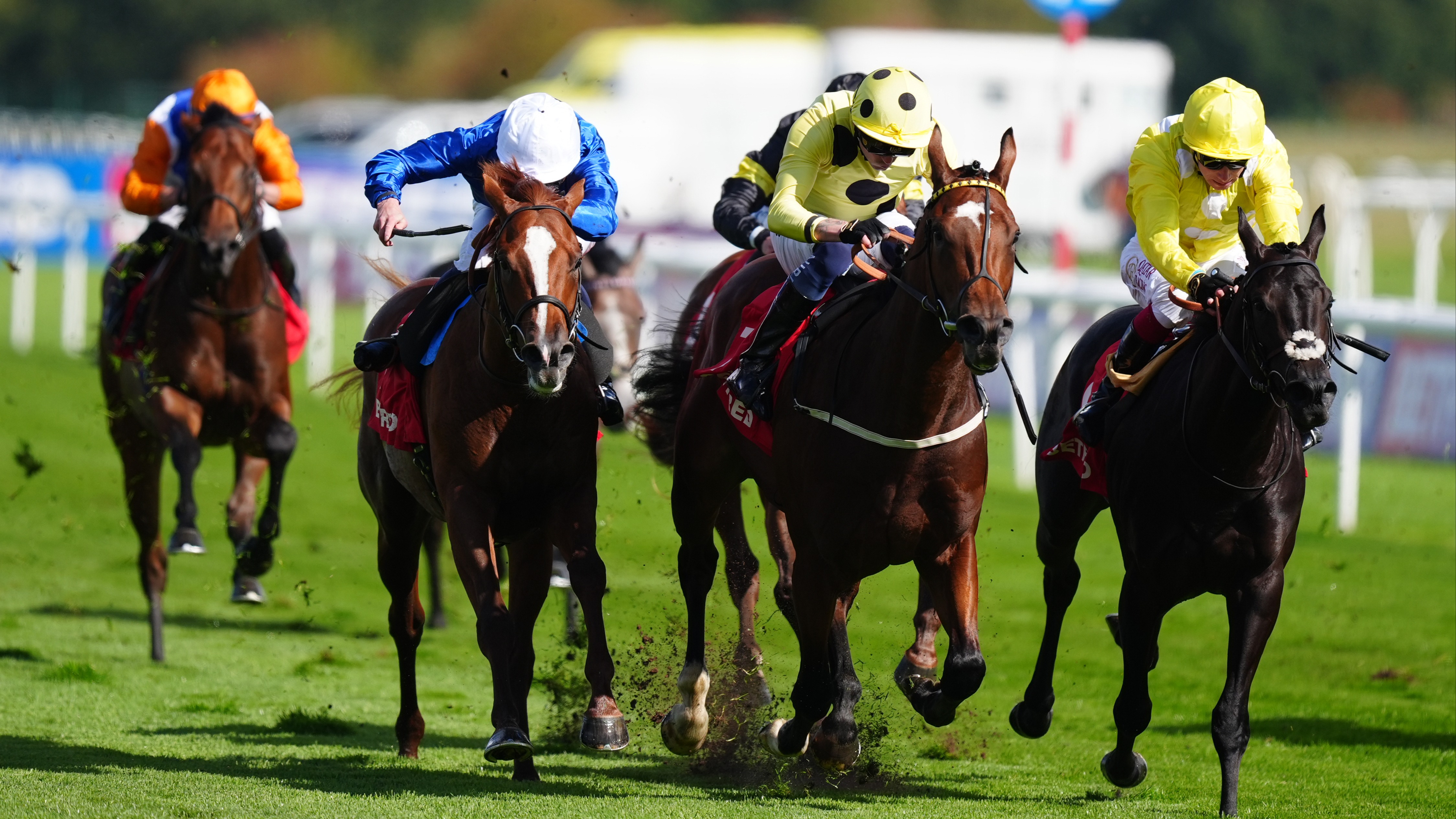 Avicenna swoops late for Flying Scotsman success | Racing
