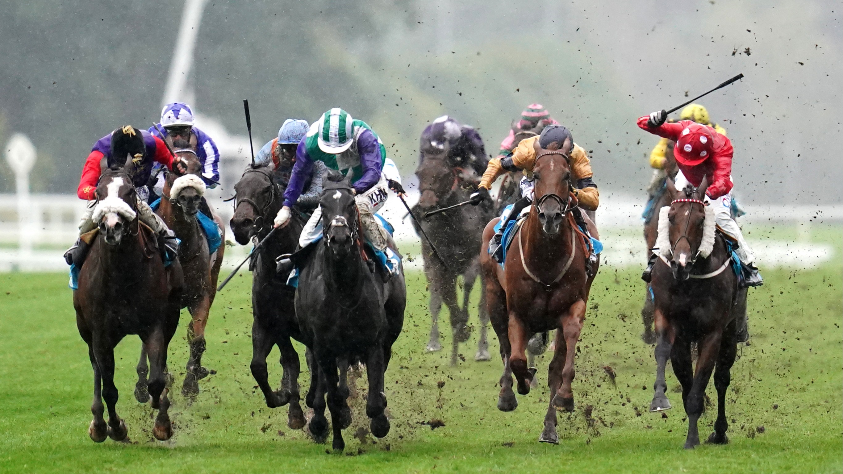 Vadream delivers on potential, winning John Guest Racing Bengough ...