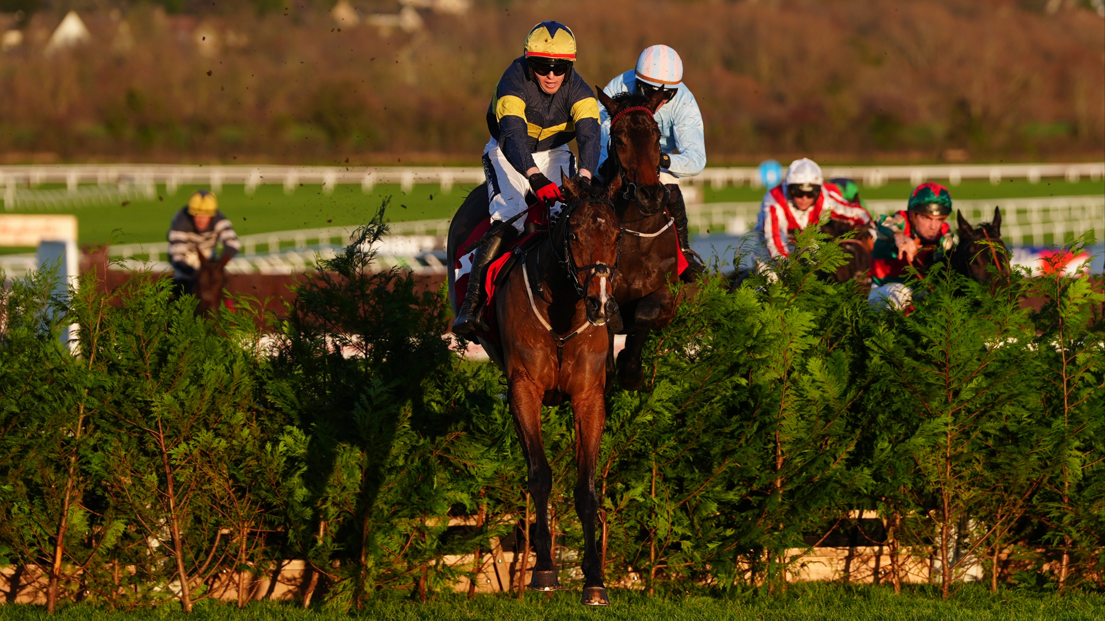 Final Orders made to measure for Cromwell and Donoghue | Racing