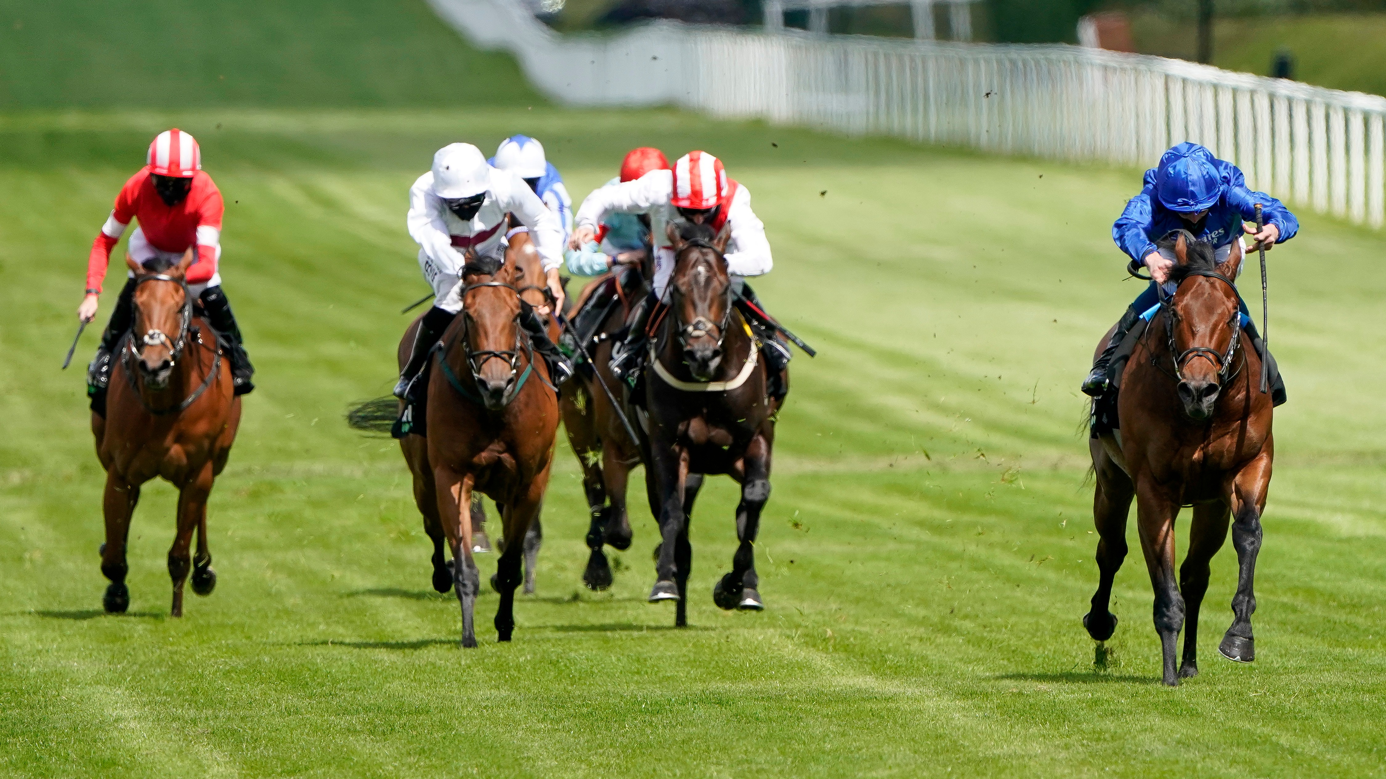 Lazuli strikes in Scurry heat | Racing