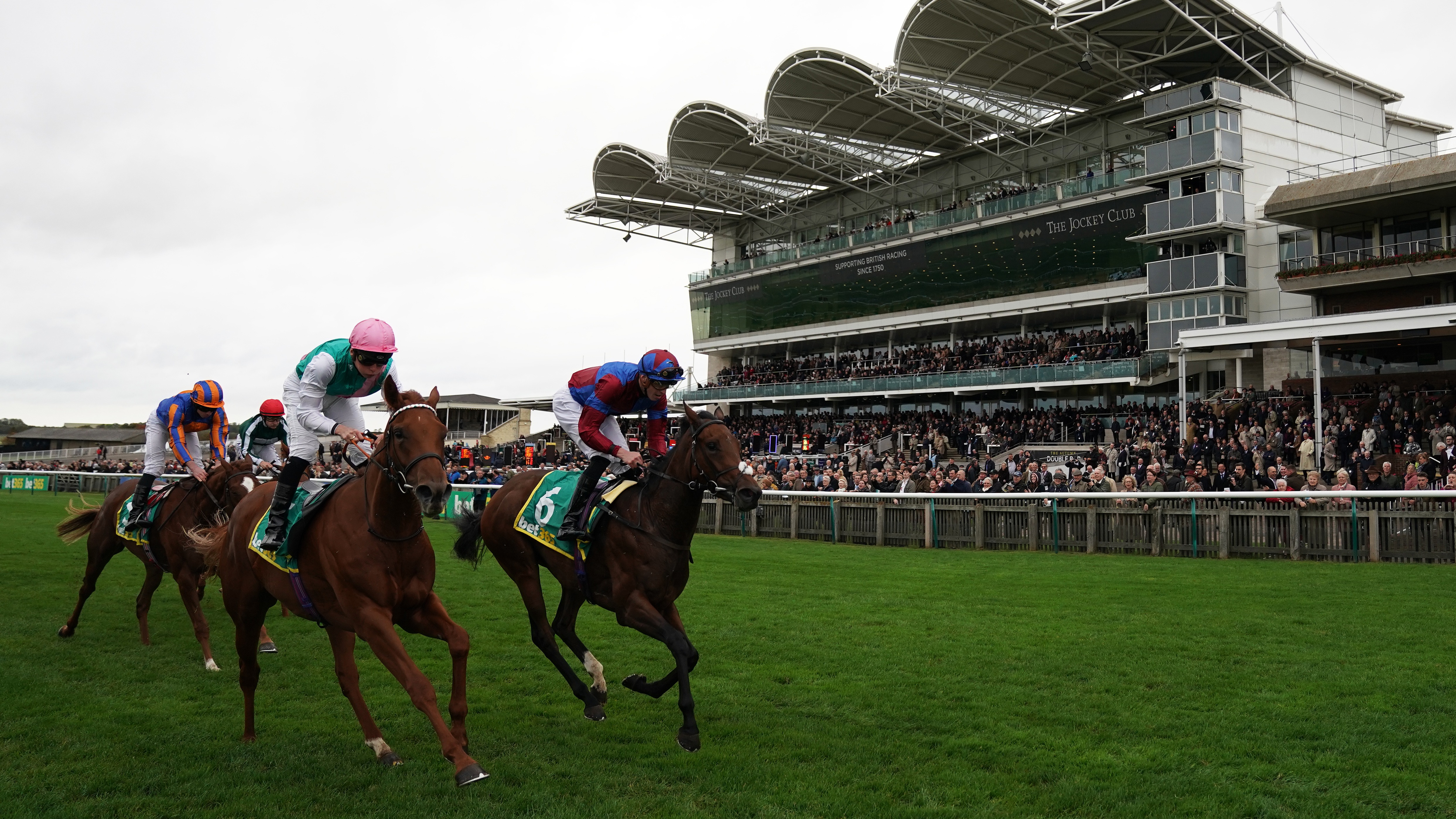 Charlton taking a breather with Quadrilateral | Racing