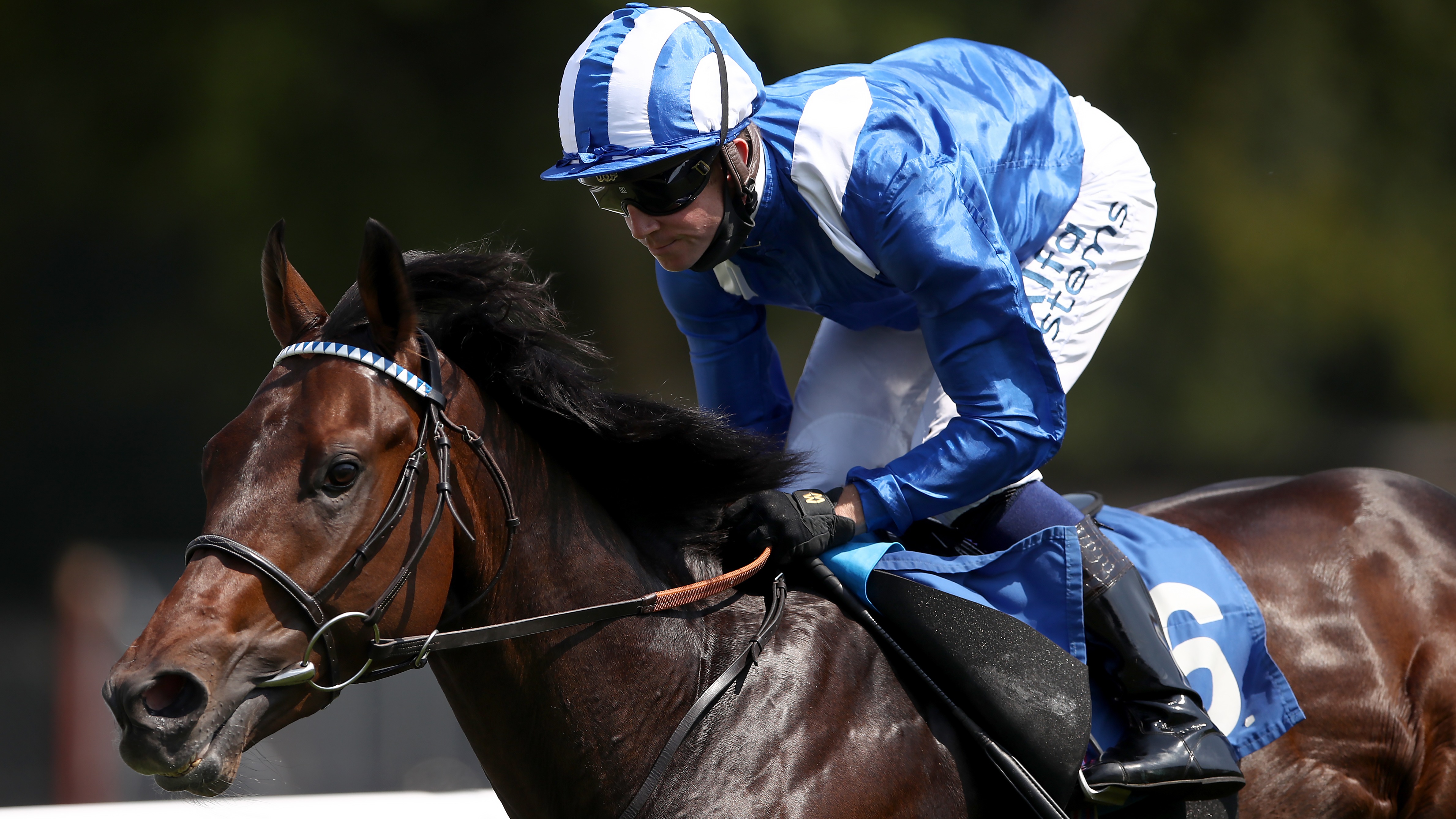 Burrows’ sights set on Commonwealth Cup aim for Minzaal | Racing