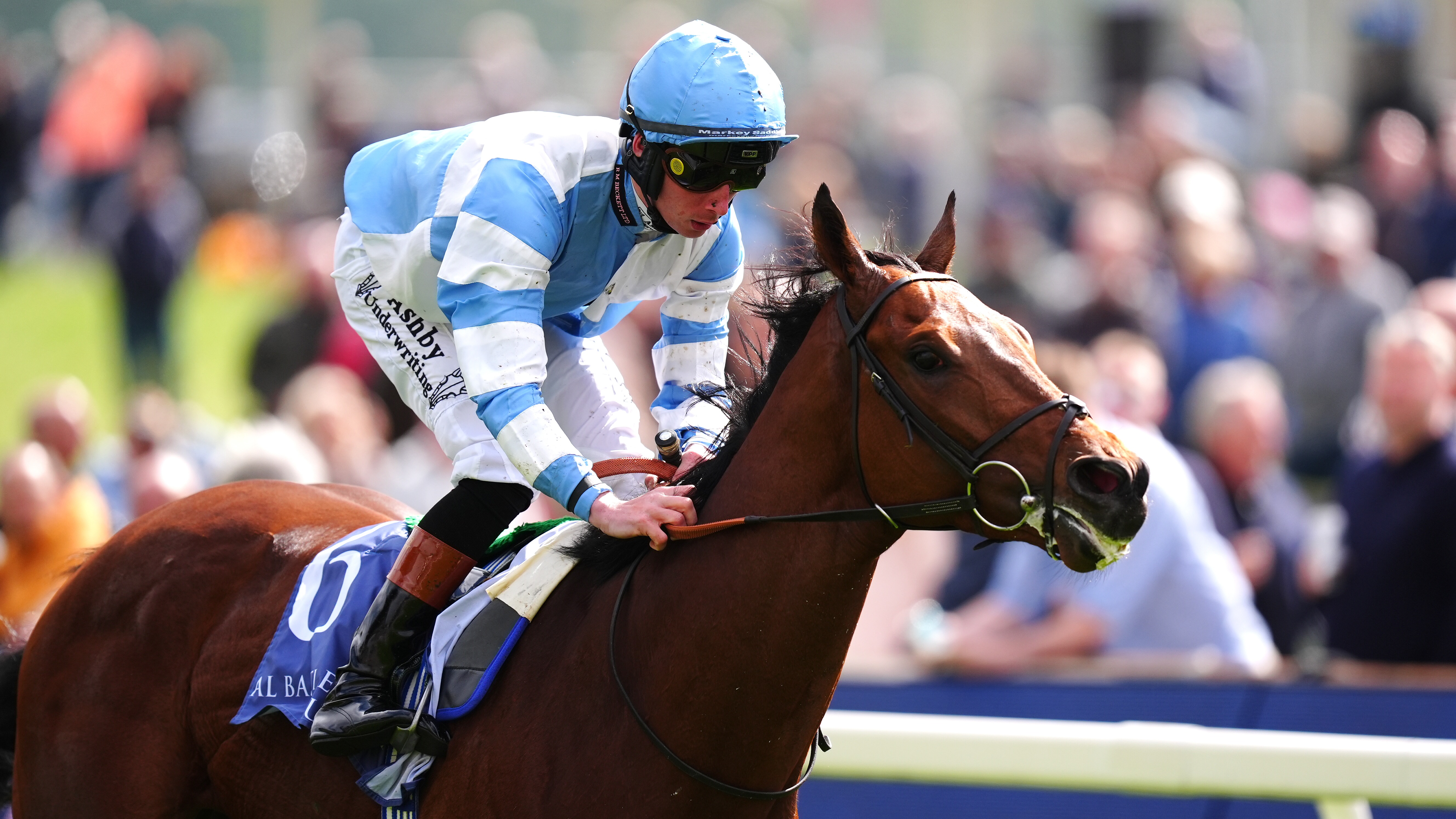 Pride Of Arras stuns Dante field with 18-1 success | Racing