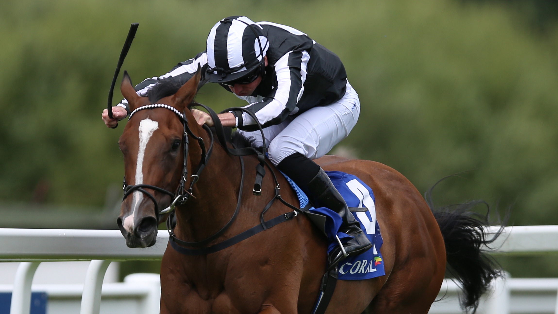 Grande Dame delivers Distaff success for Gosden team | Racing