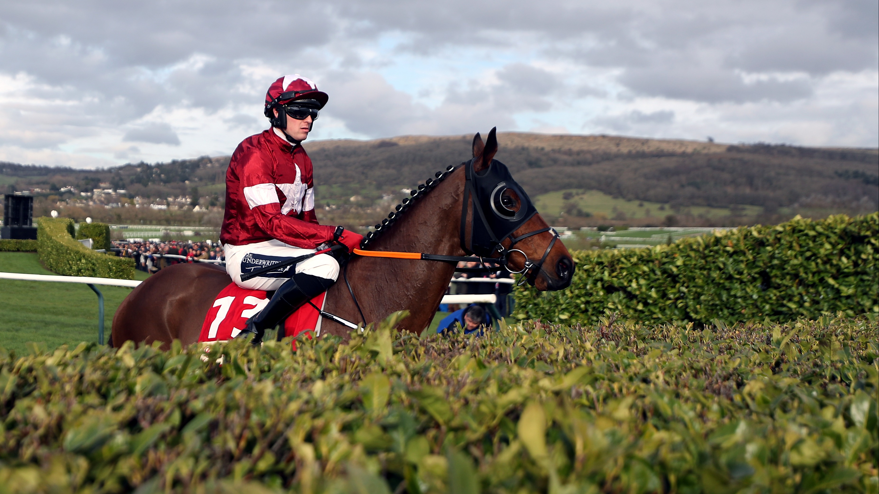 Elliott considering Down Royal return for National hero Tiger Roll | Racing
