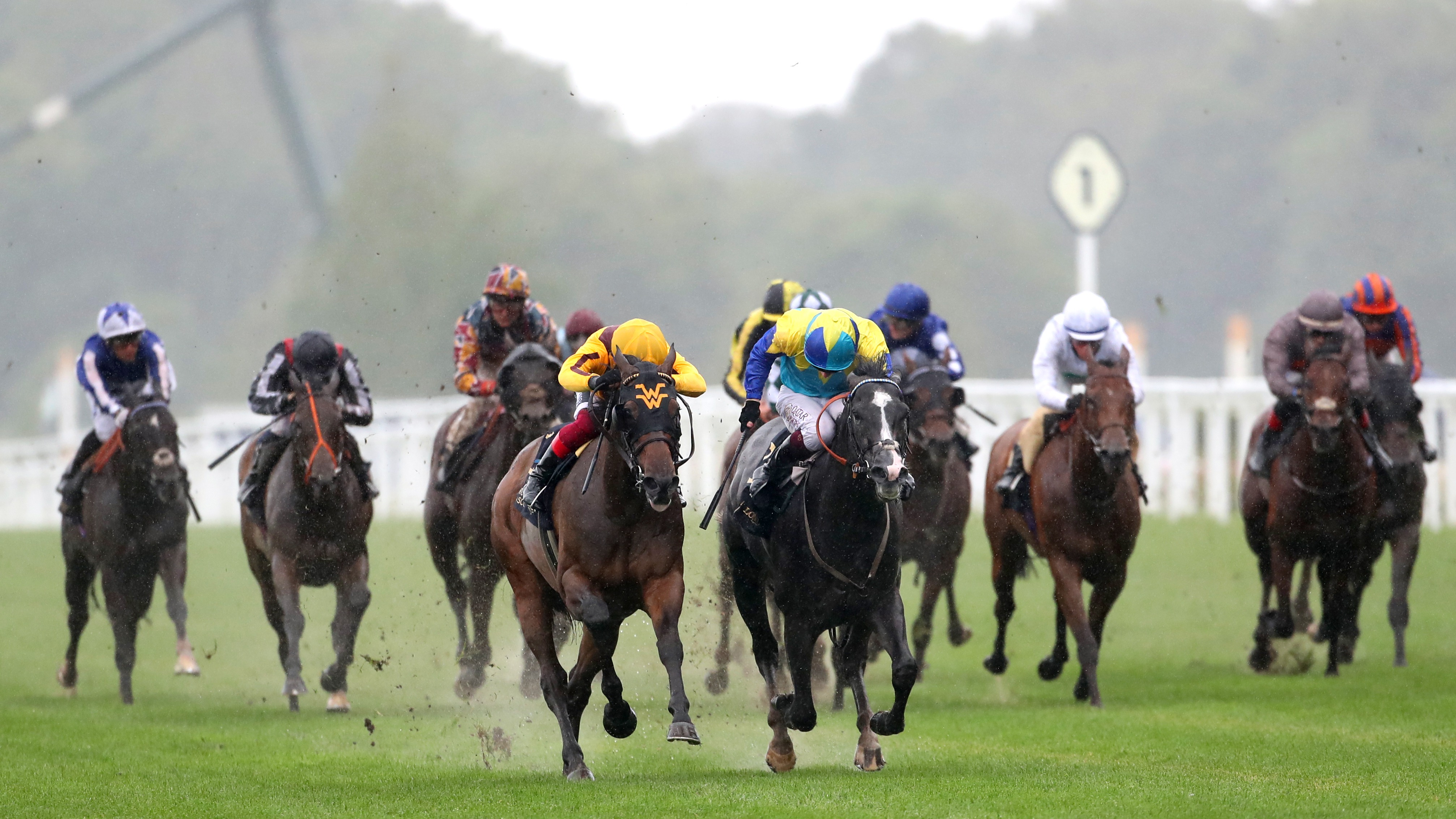 Campanelle handed win with result revised after stewards enquiry | Racing