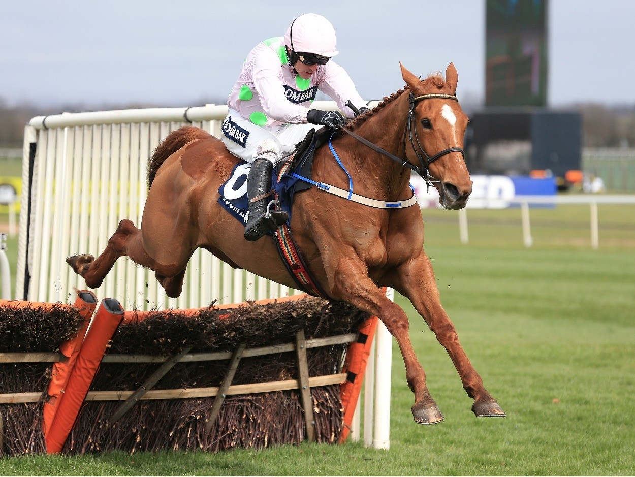 Faugheen and Annie Power part of 47-strong entry for Stayers' Hurdle ...