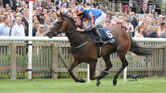 Roly Poly dominates to win Tattersalls Falmouth Stakes at Newmarket ...