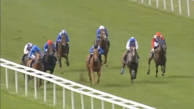 Hugo Palmer celebrates Group 3 double as Home Of The Brave comes good ...