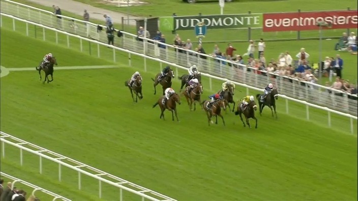 Gamble on Dee Ex Bee comes to nought as Wells Farhh Go lands the Acomb ...