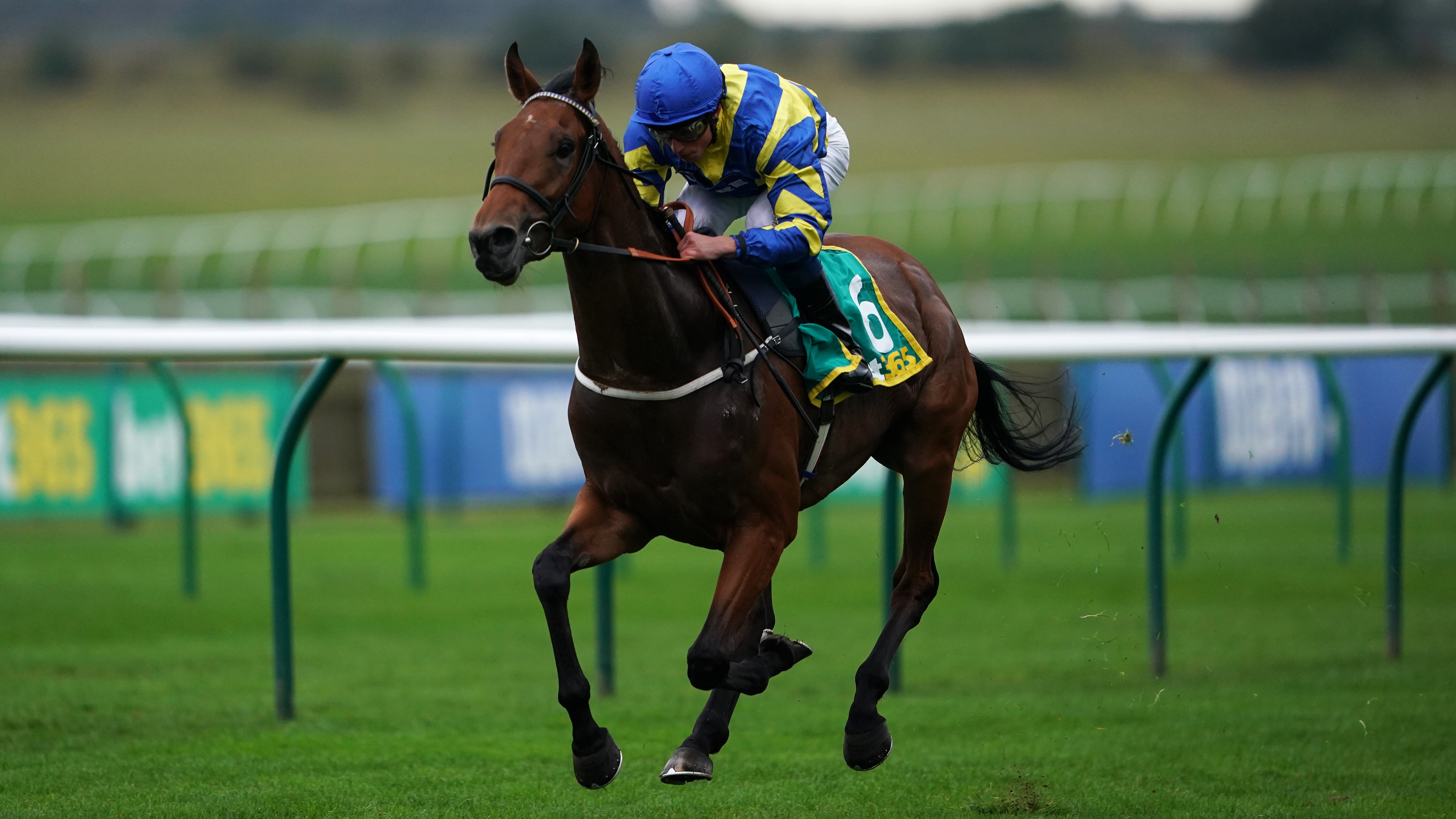 Alan King plans to pitch Trueshan into Pattern company for the first ...