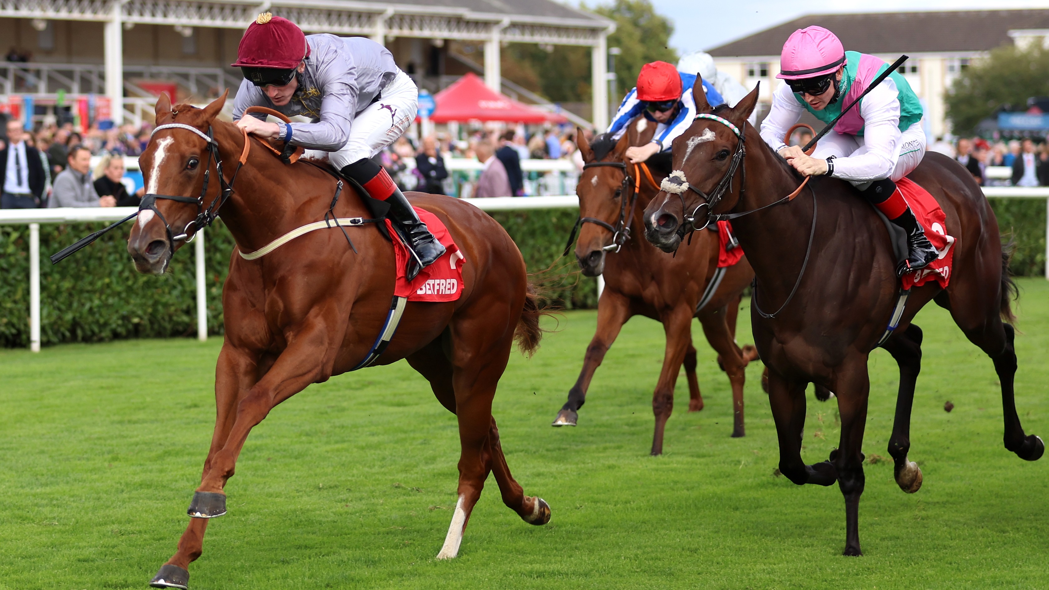 Aylin has the answers in May Hill at Doncaster | Racing