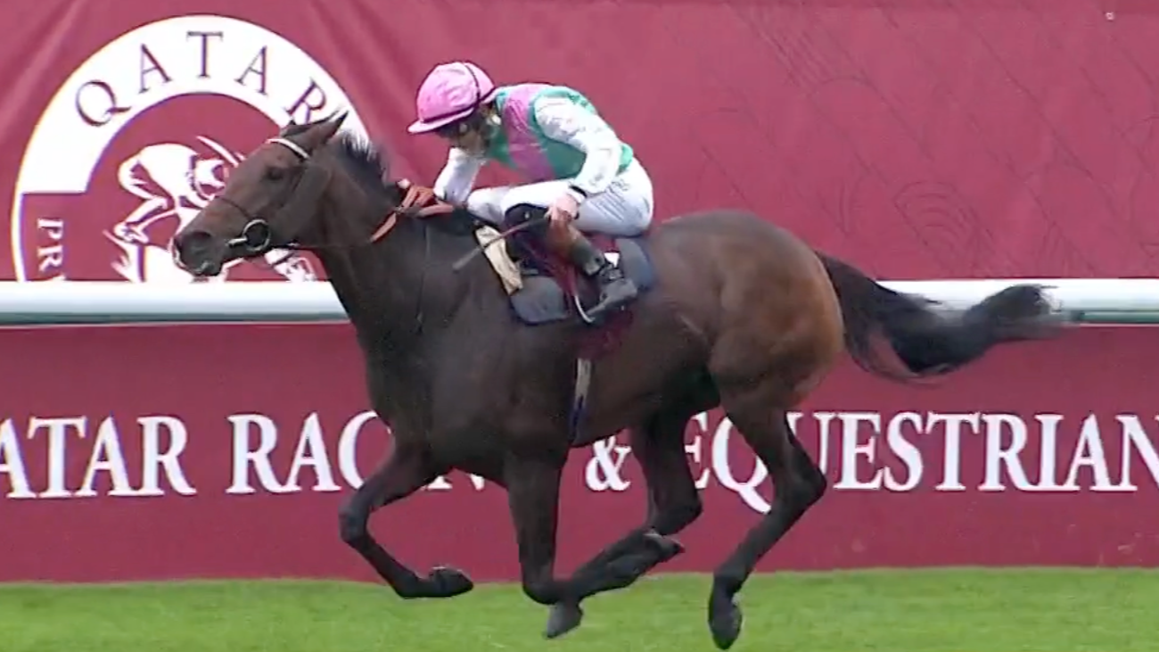 Bluestocking is Arc angel for Beckett in Paris | Racing