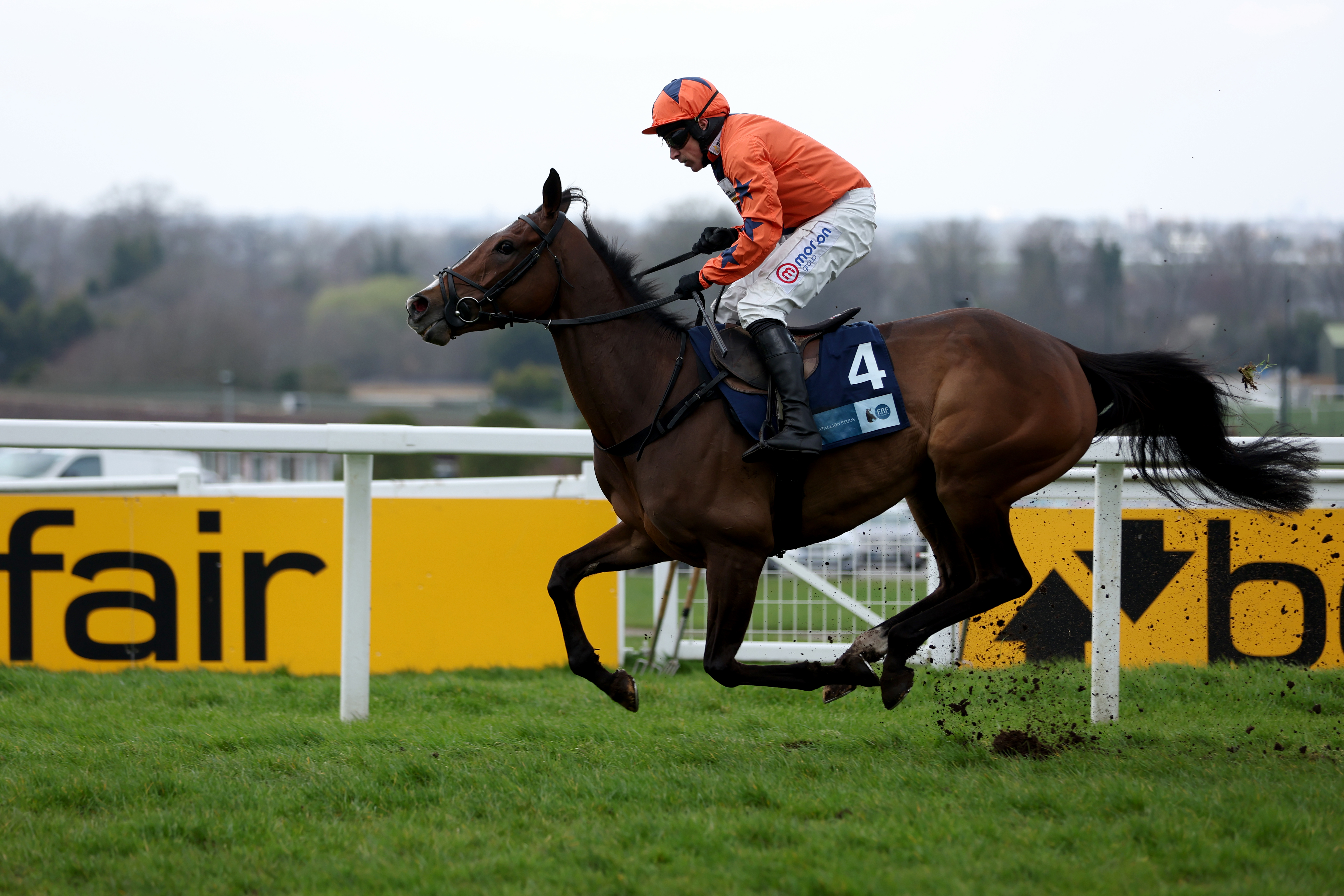 Honky Tonk Highway hits all the right notes to win the British Stallion ...